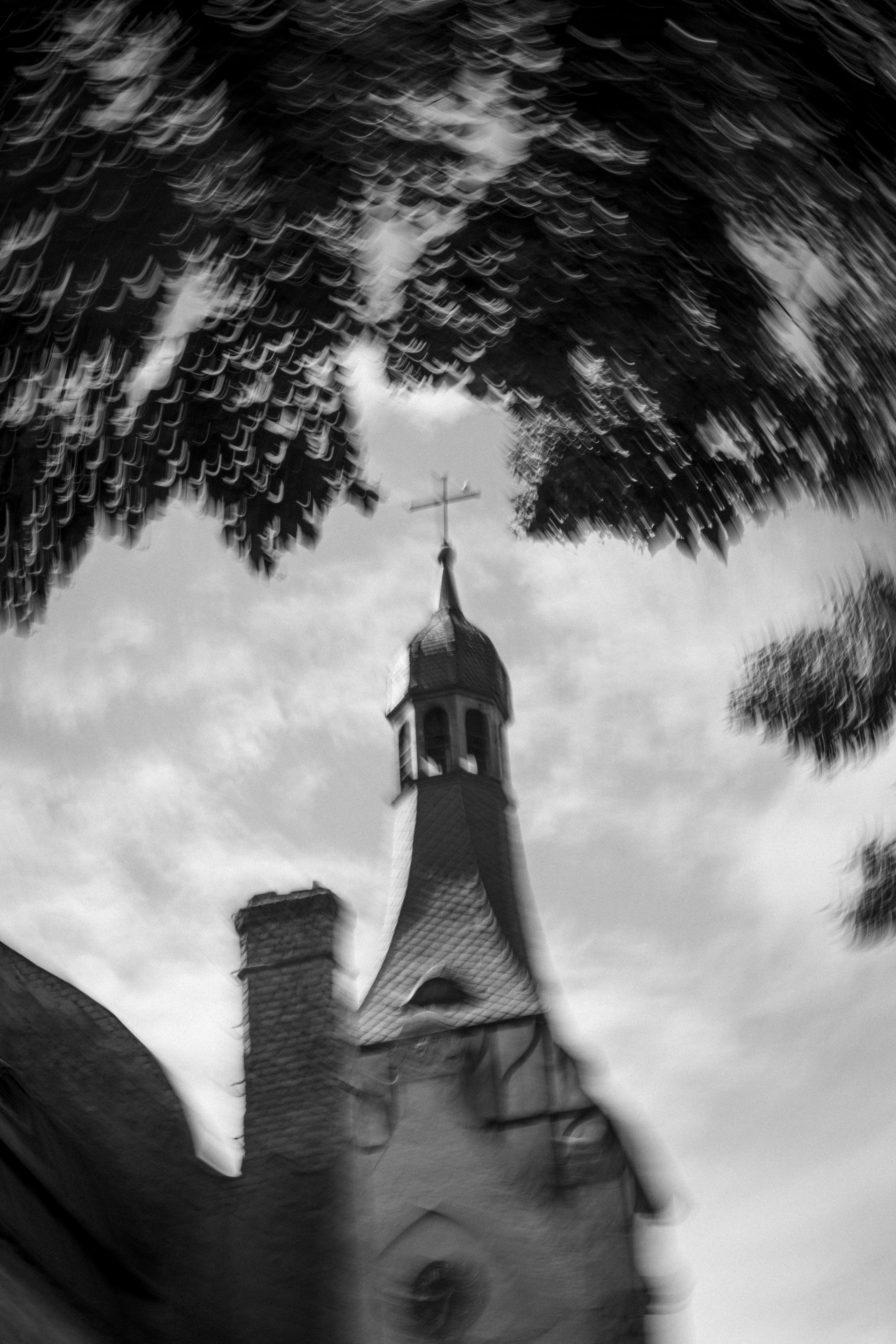 Spire and canopy: a blurred church steeple framed by swaying branches