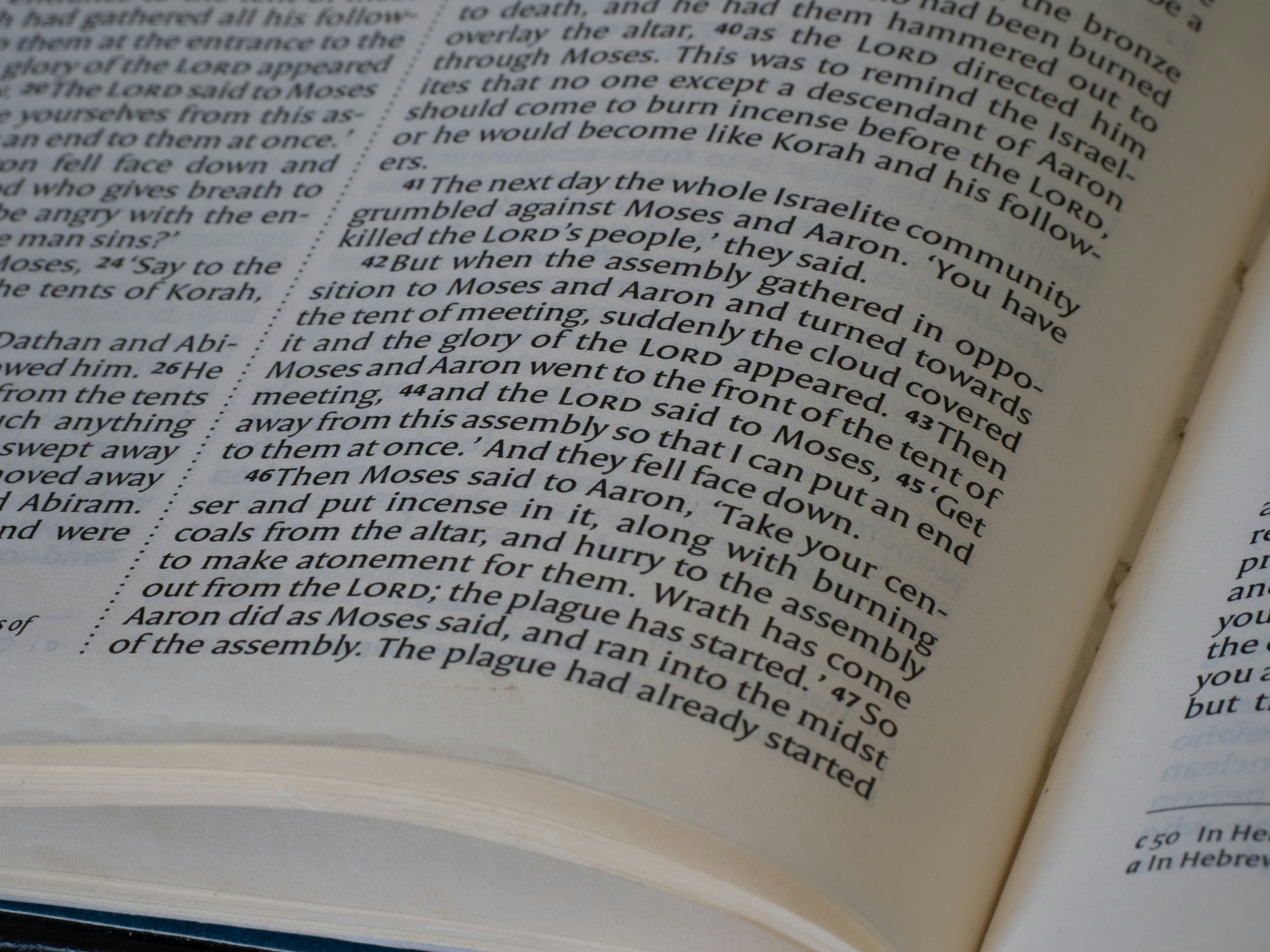 Close-up of a well-worn book pages in a softly lit corner
