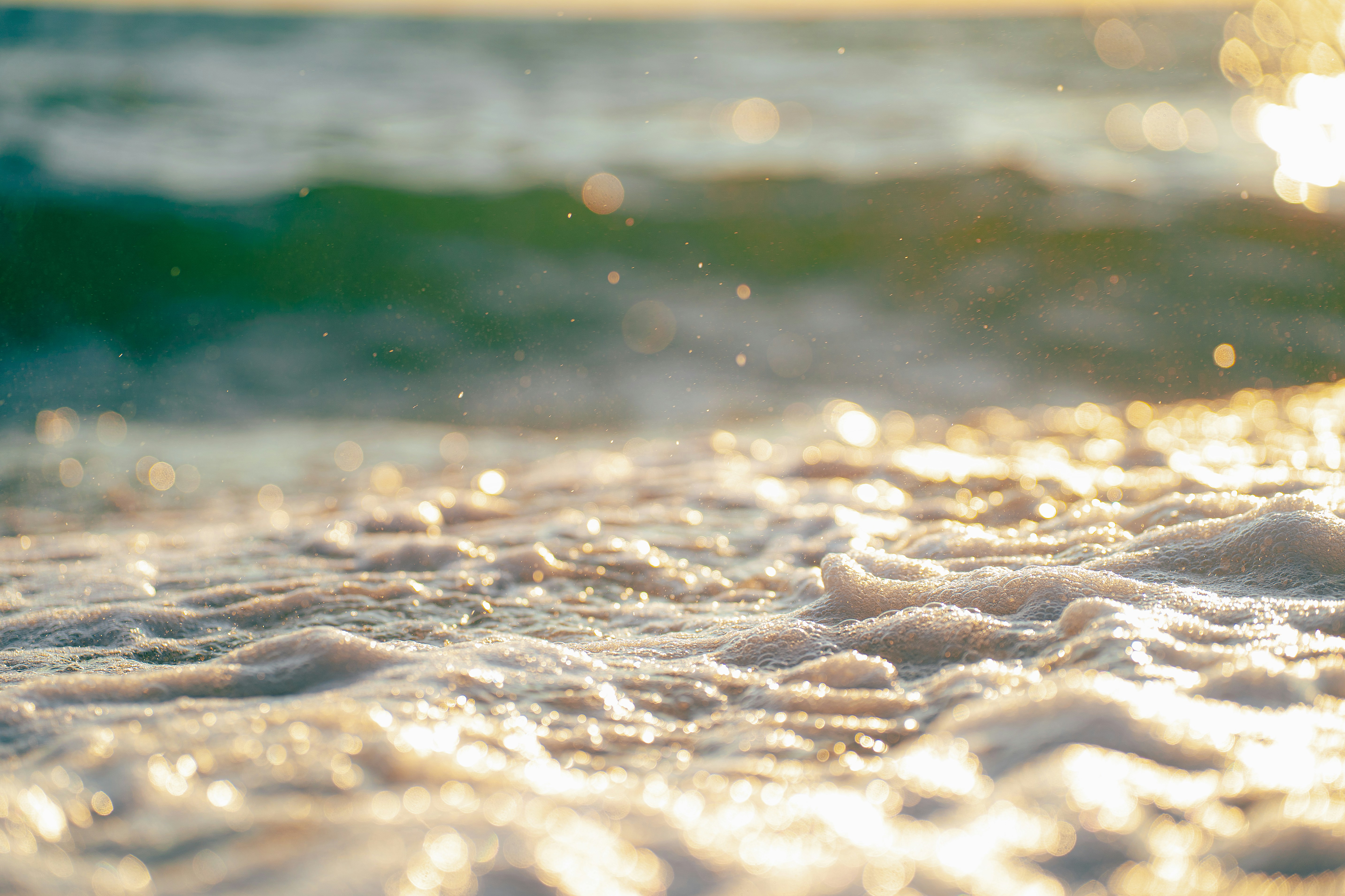 Foamy shoreline in soft backlit surf