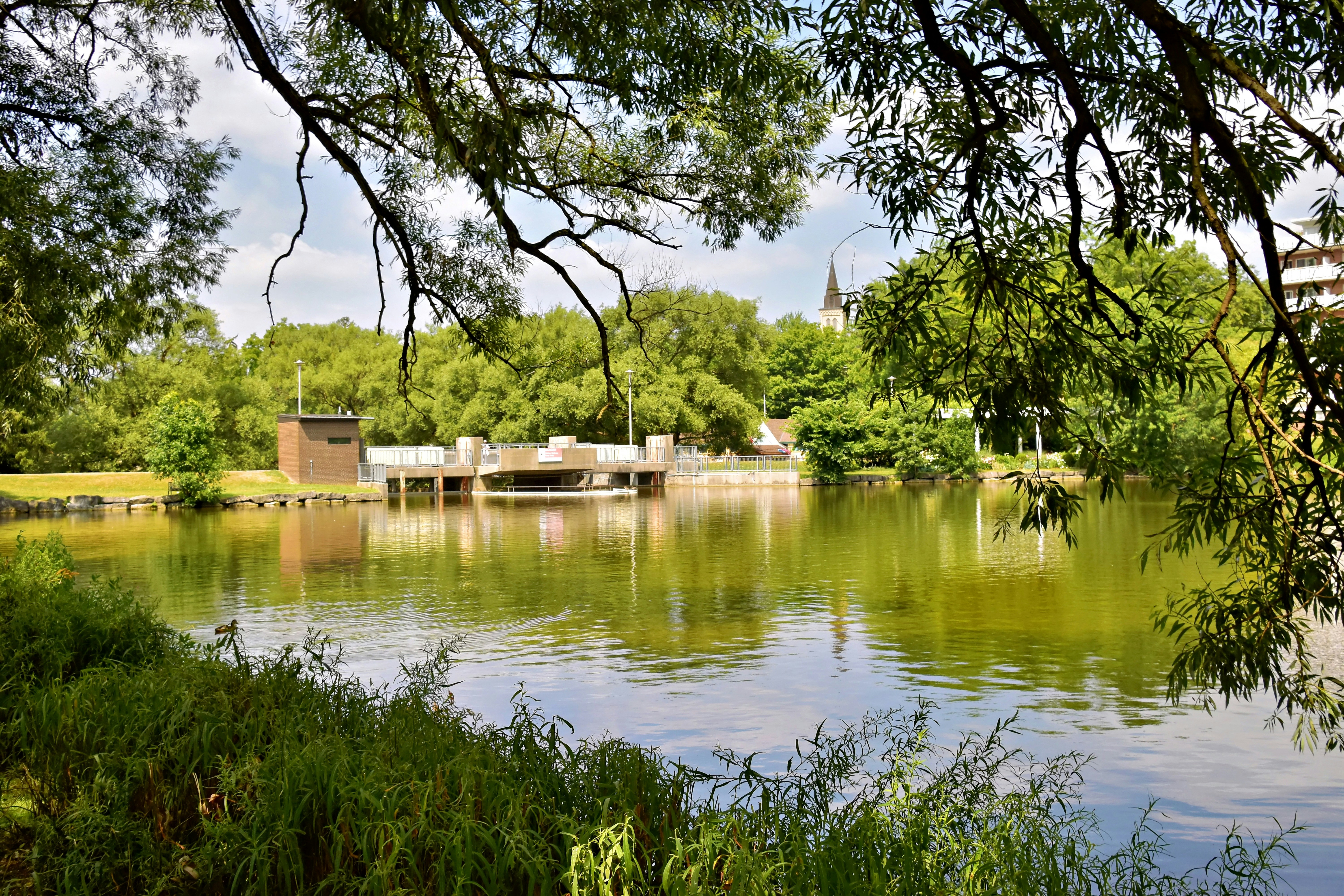 Hidden Bridge Over Calm Green Waters