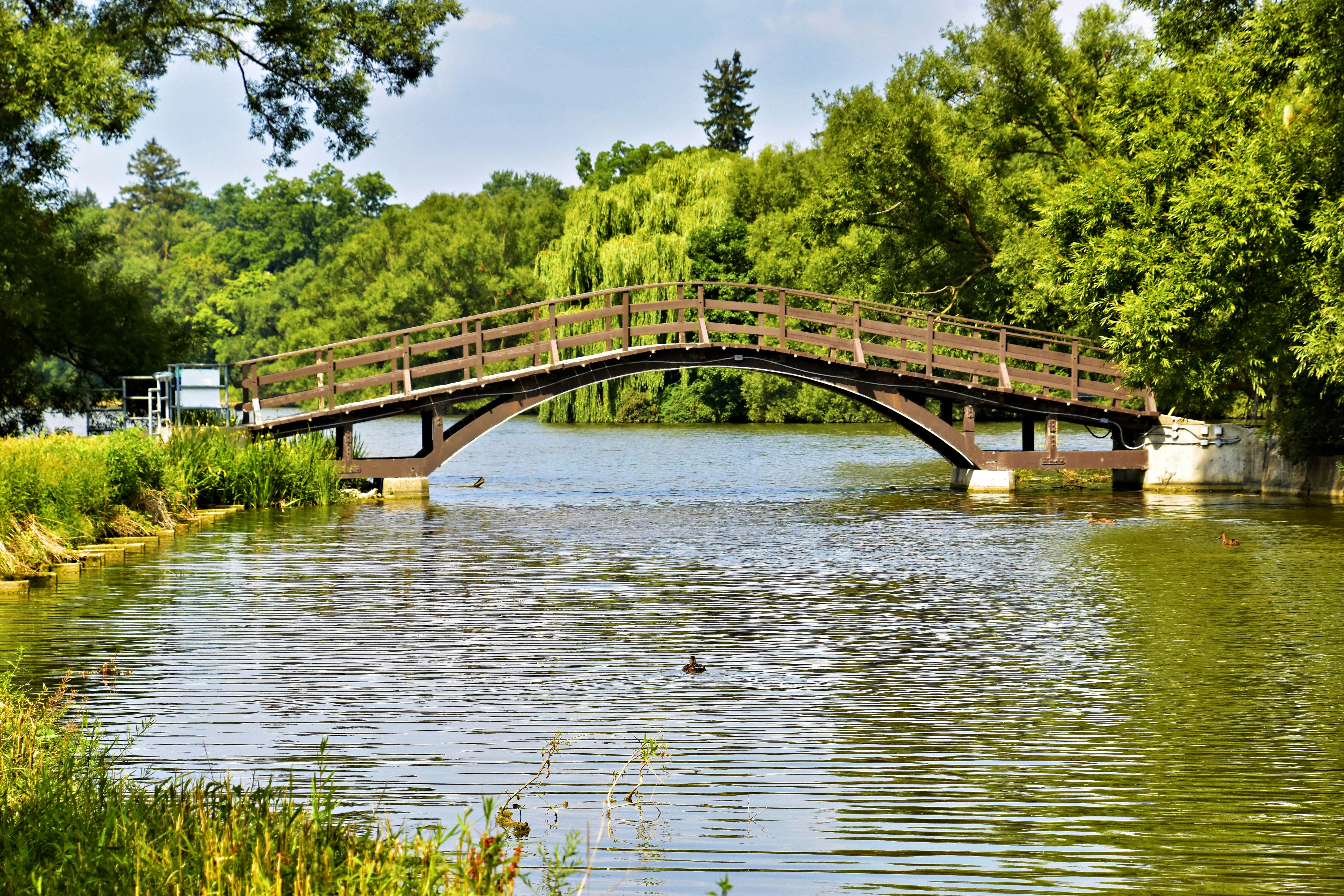 Arc over the Quiet River: A Wooden Bridge Framed by Verdant Banks