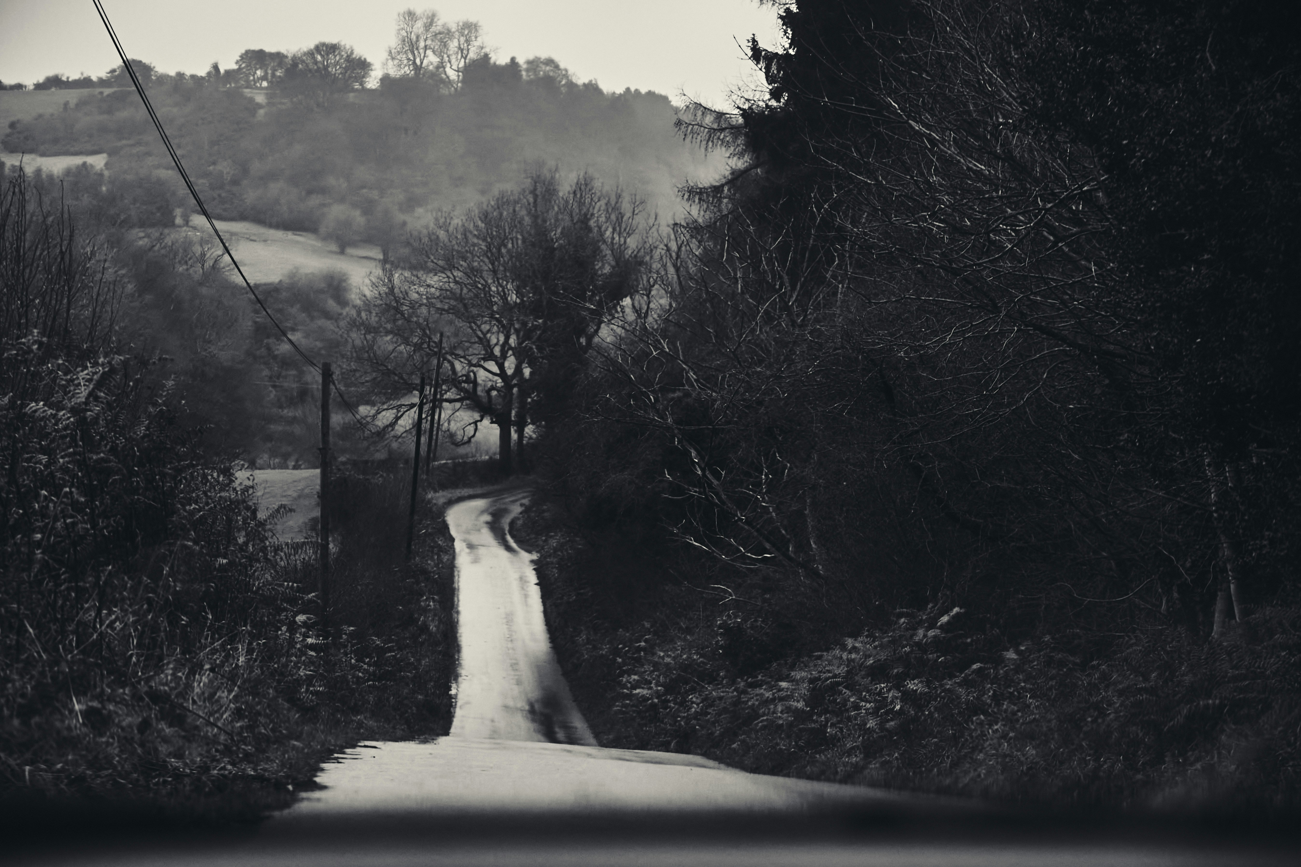 Midnight Lane: A Quiet Drive Through Winter’s Shadow