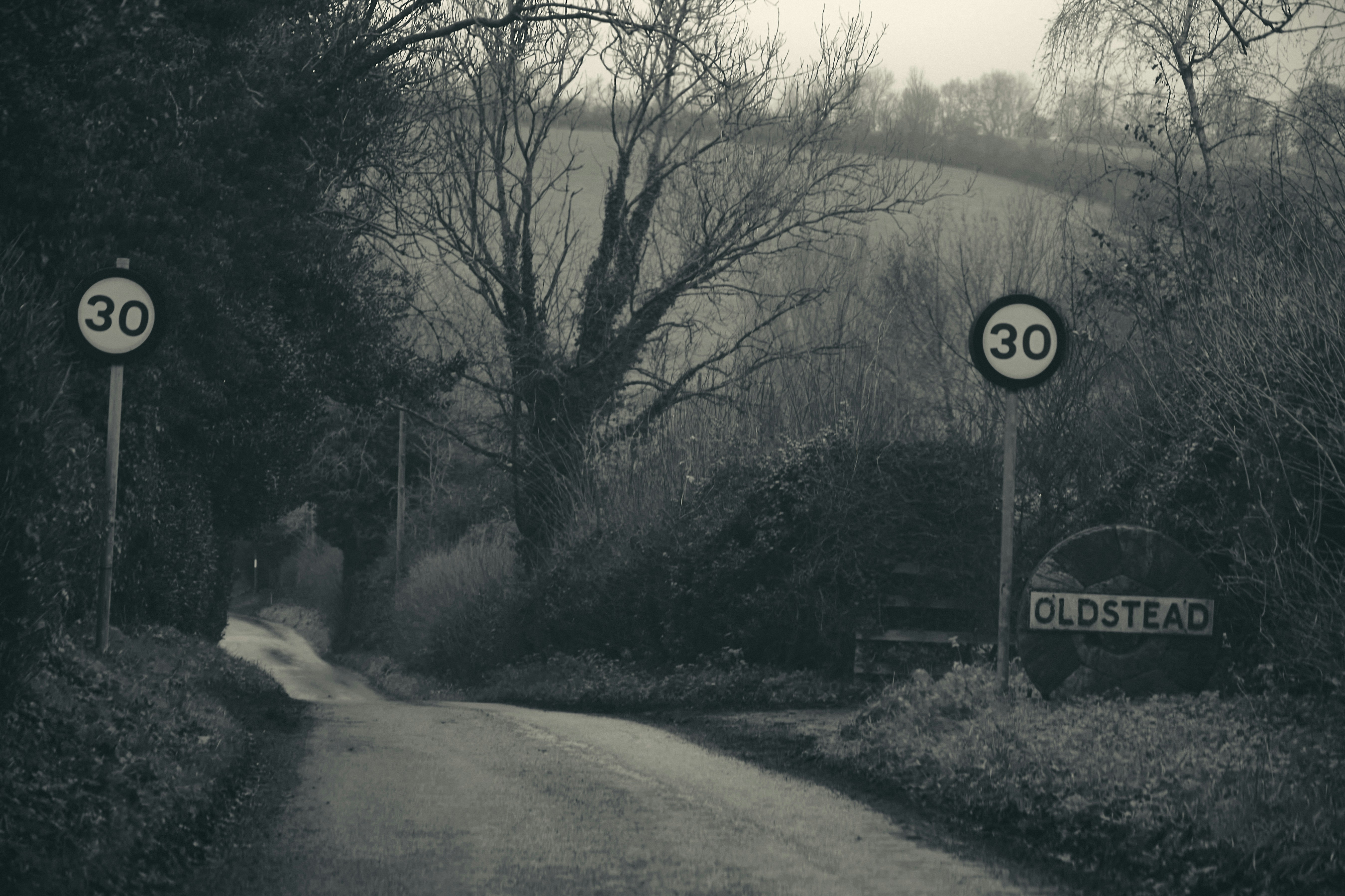 Lingering Quiet on a Narrow Country Lane