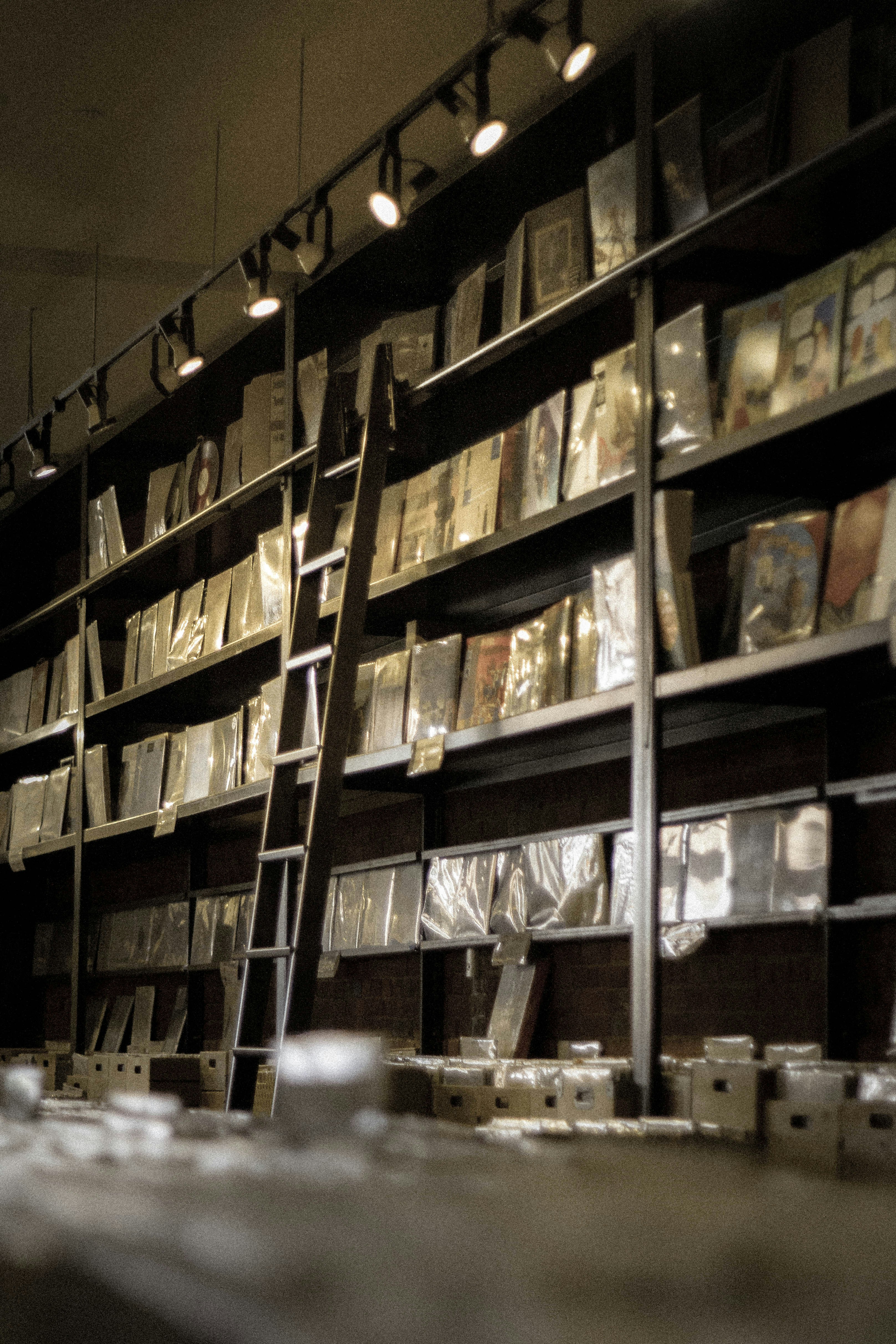 Ladder Amidst Shelves: Quiet Rows of Vinyl and Magazines