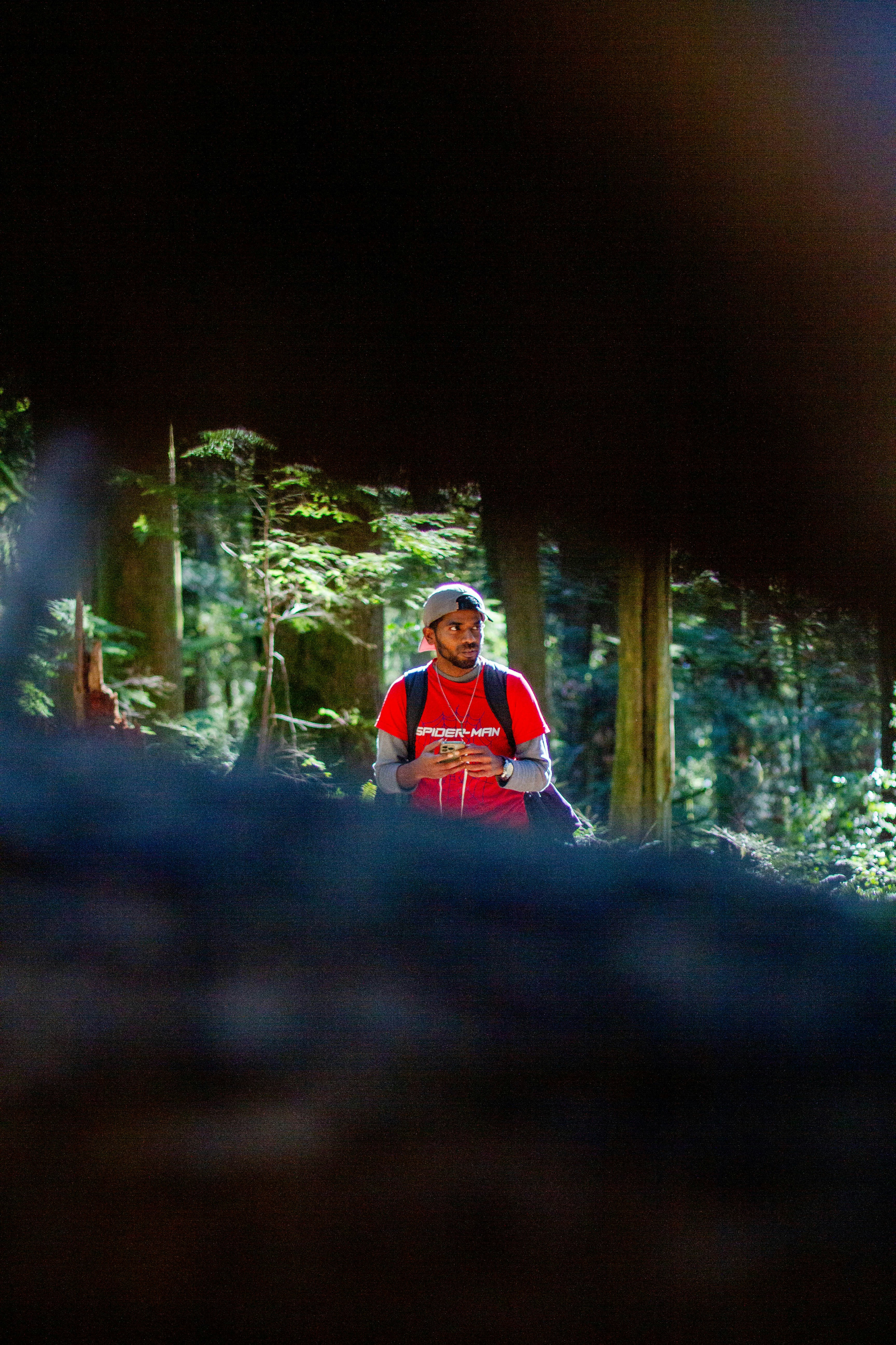 Trailbound: A Lone Hiker Emerges From the Forest Edge