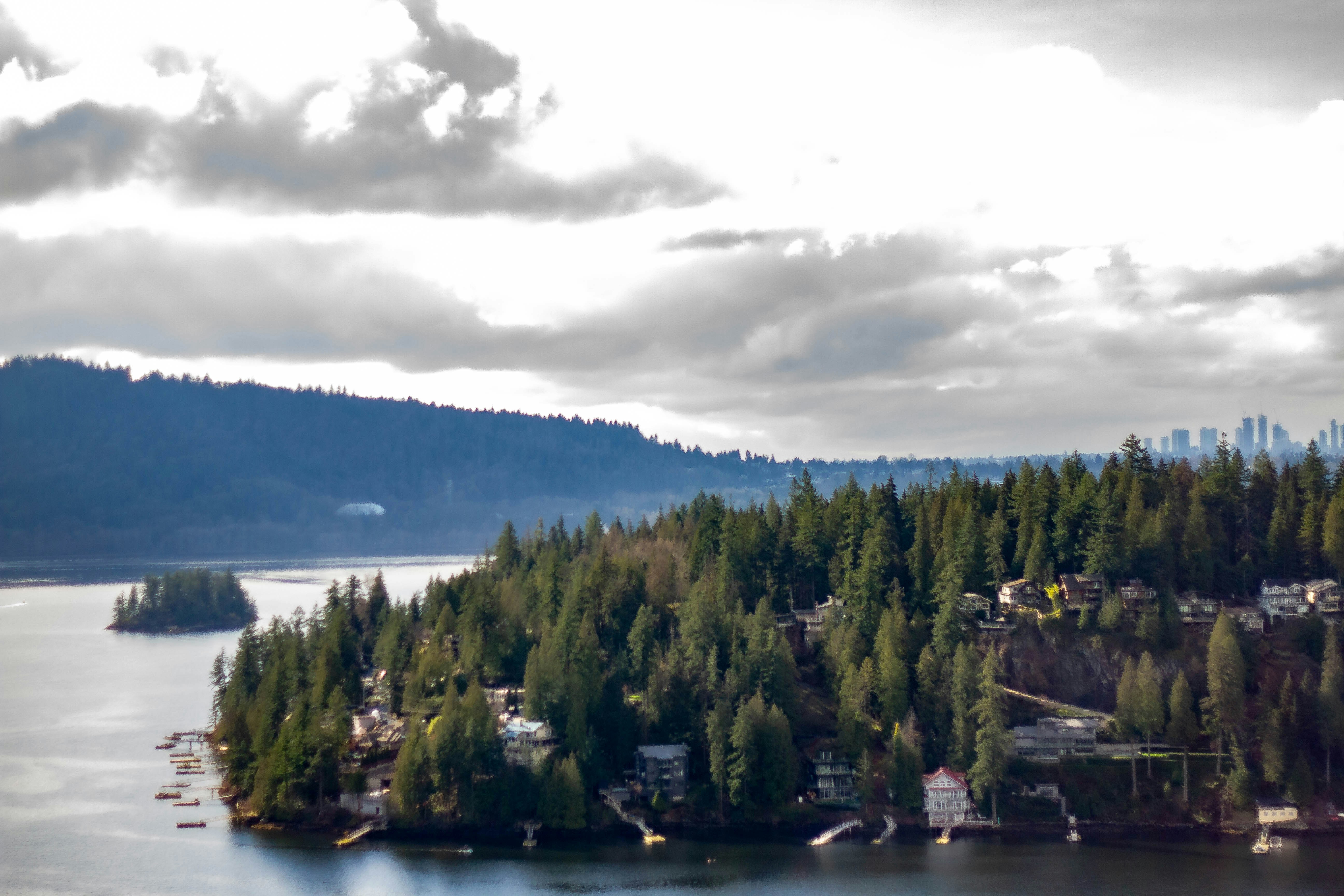 Distant Skyline Peeking Over Pine Island
