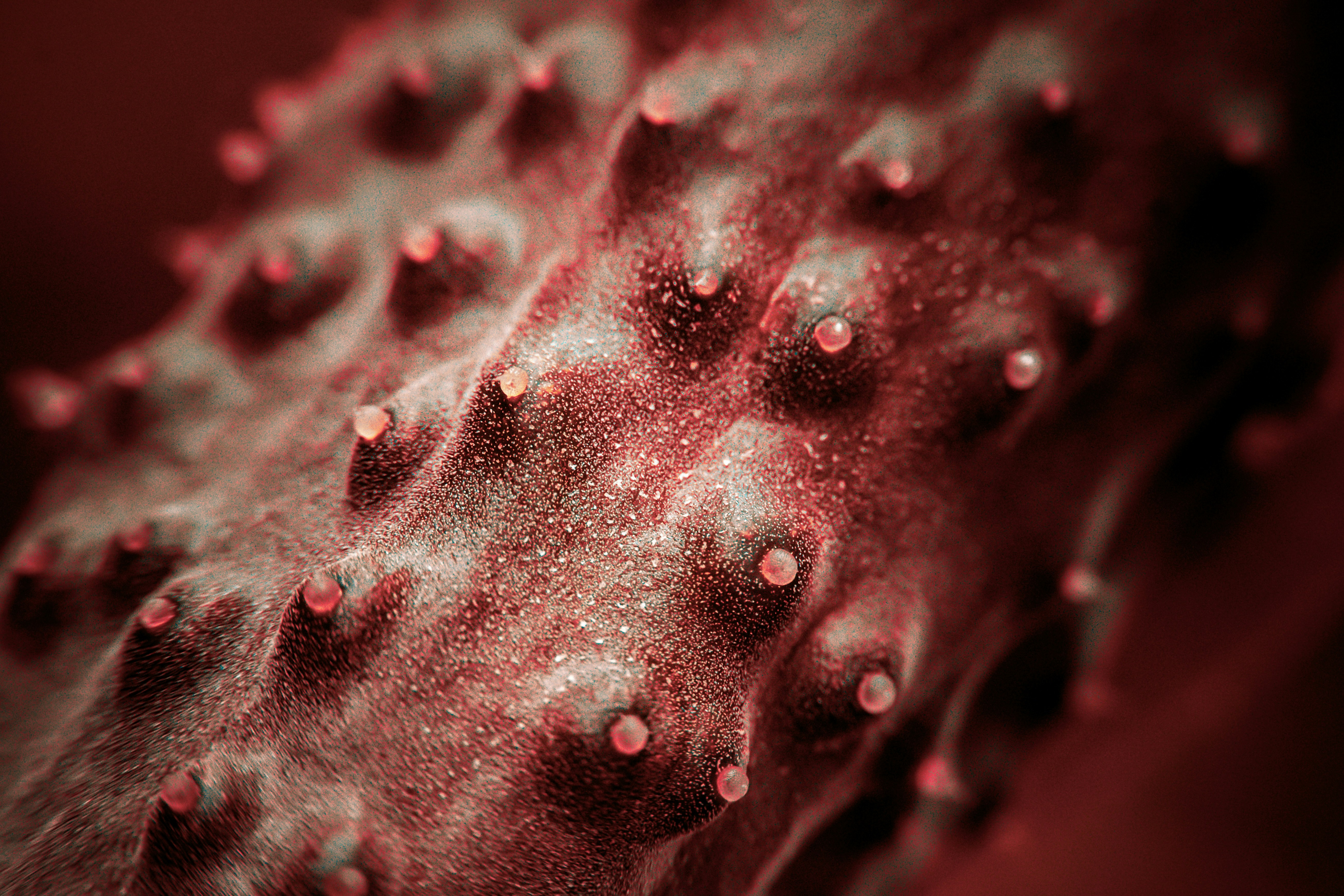 Red Coral Textures: A Macro Dance of Dots and Dunes