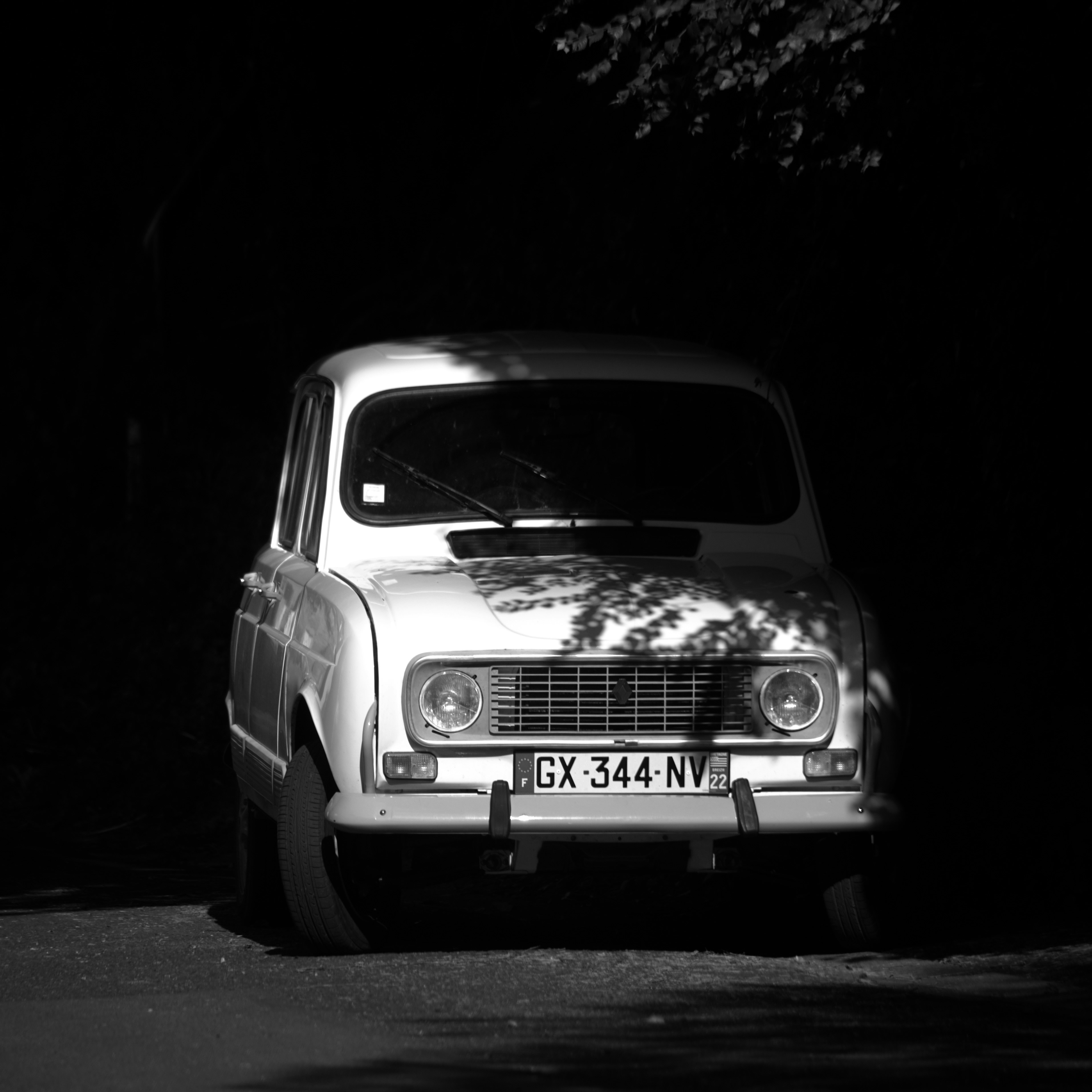 Vintage Renault in Spotlight: Quiet Power under Dappled Shade