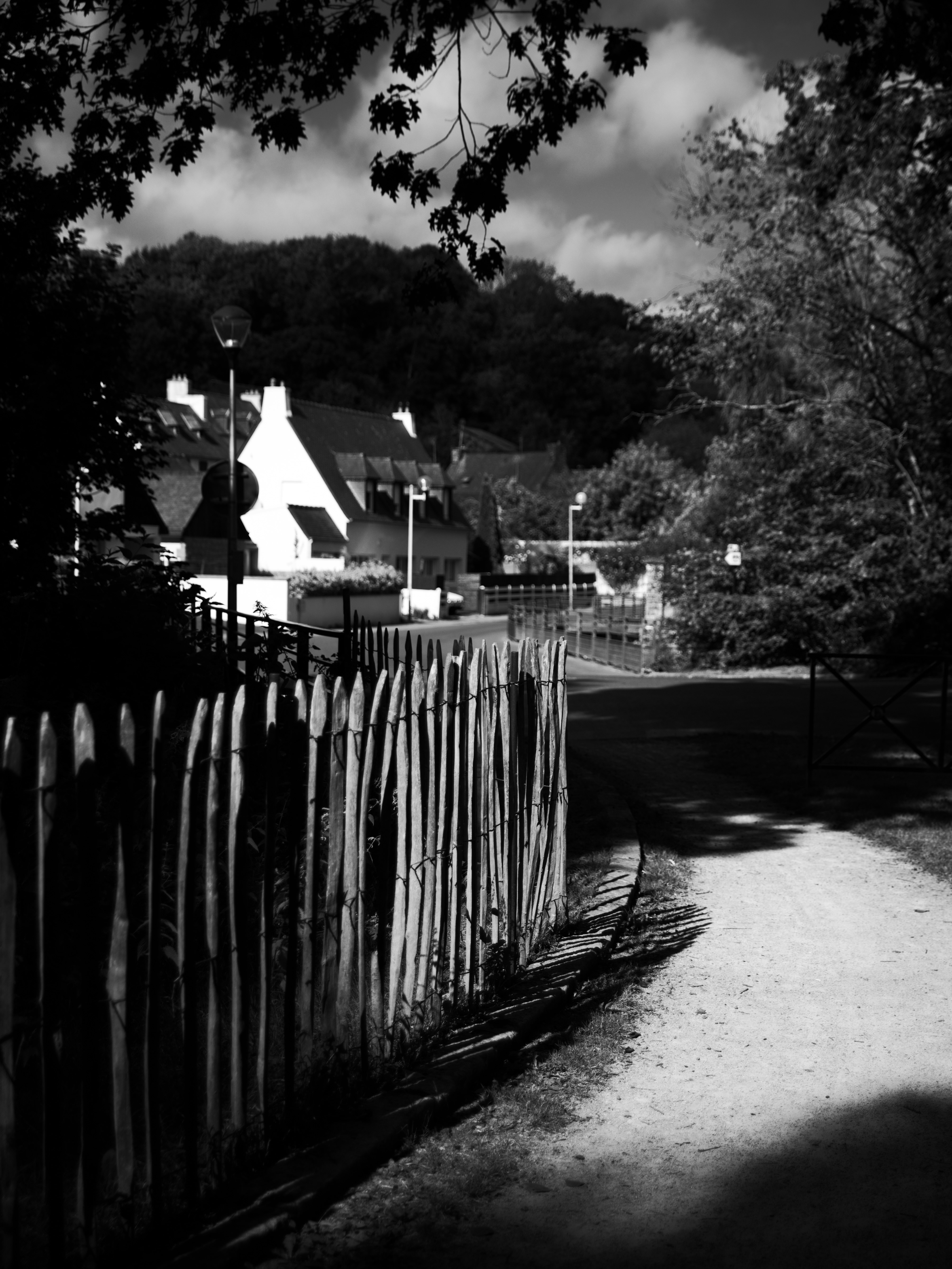 Shadows on the Country Path