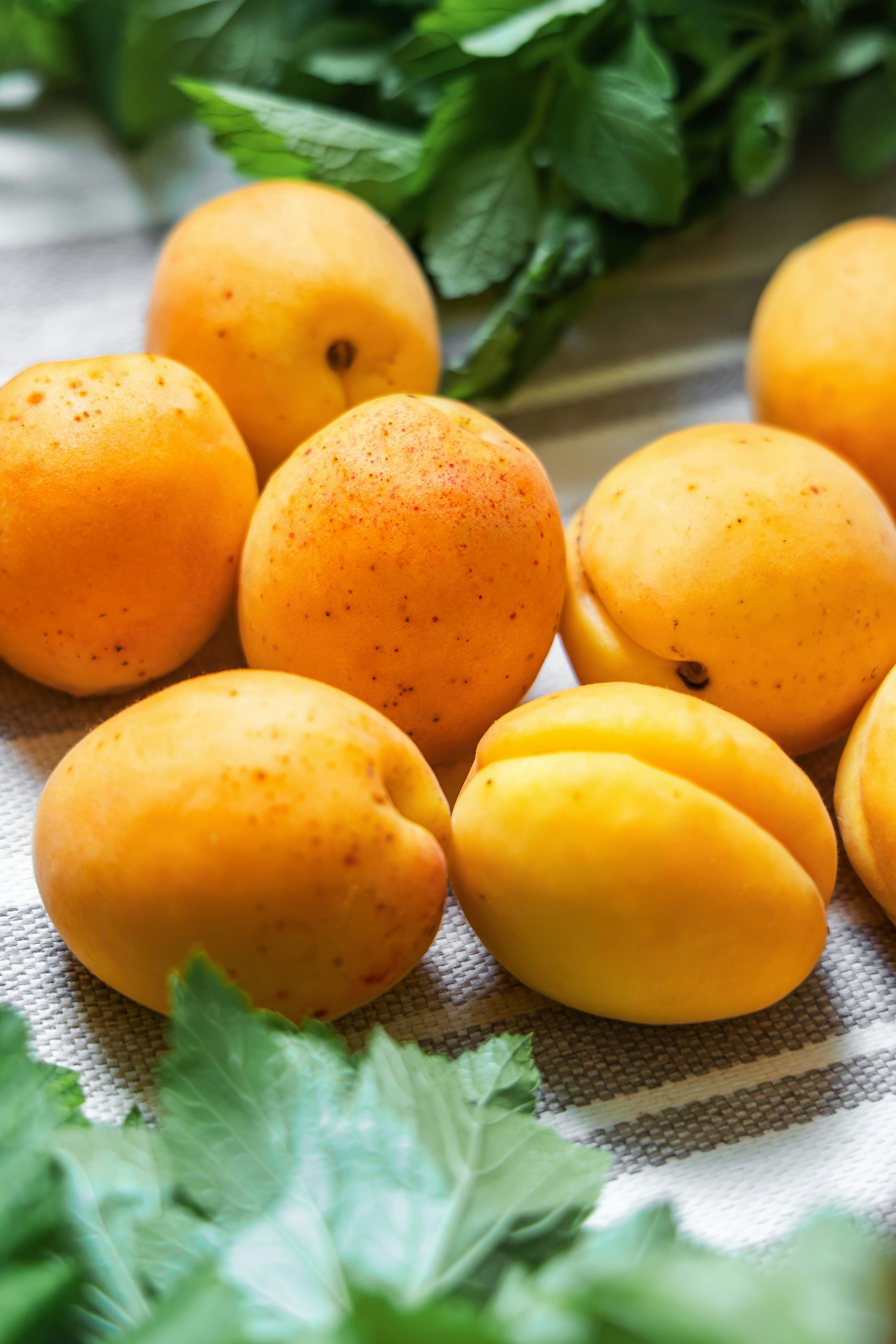 Sunlit apricot harvest splayed across a striped cloth