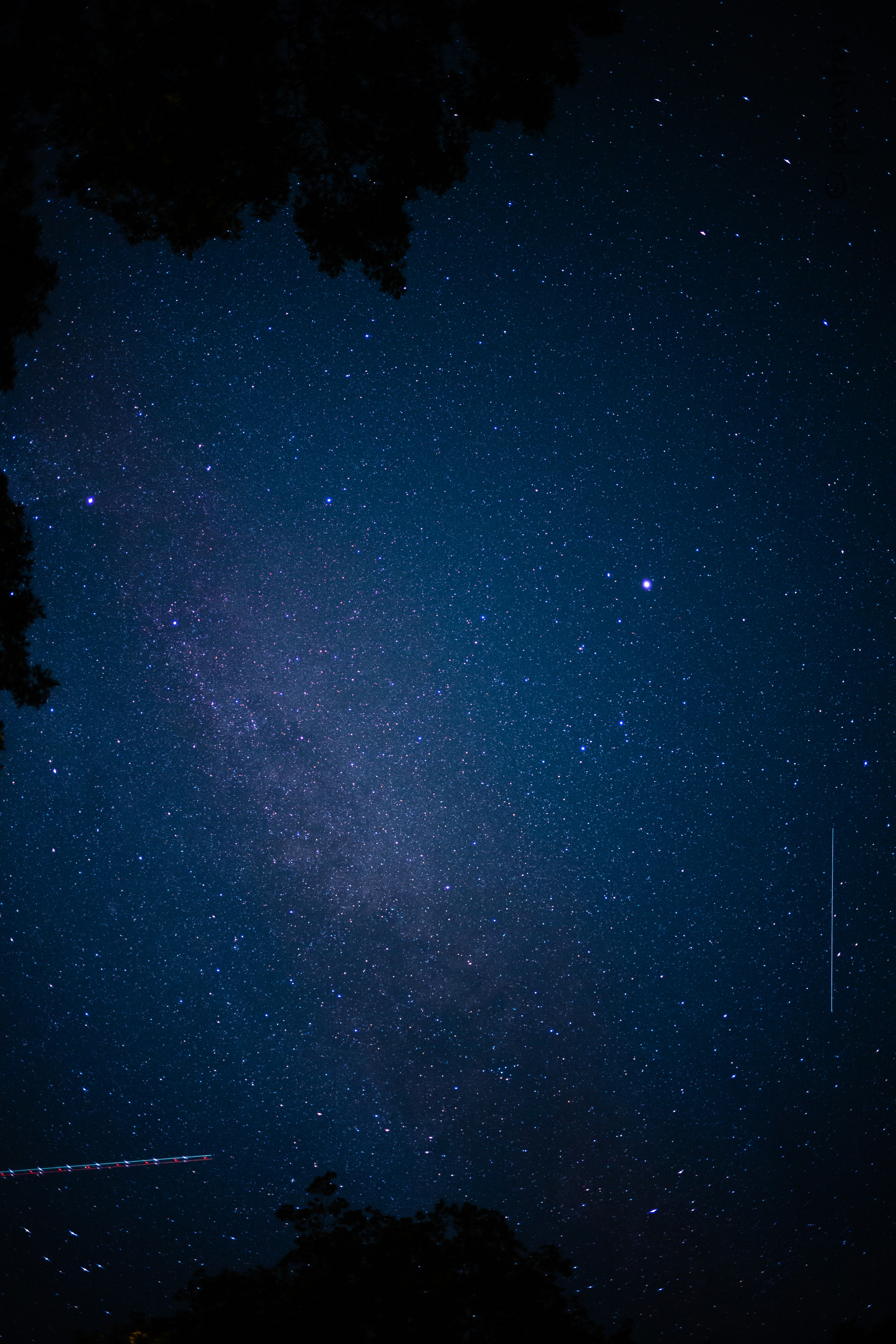Starfield Quiet: A Milky Way Veil Under Night Skies
