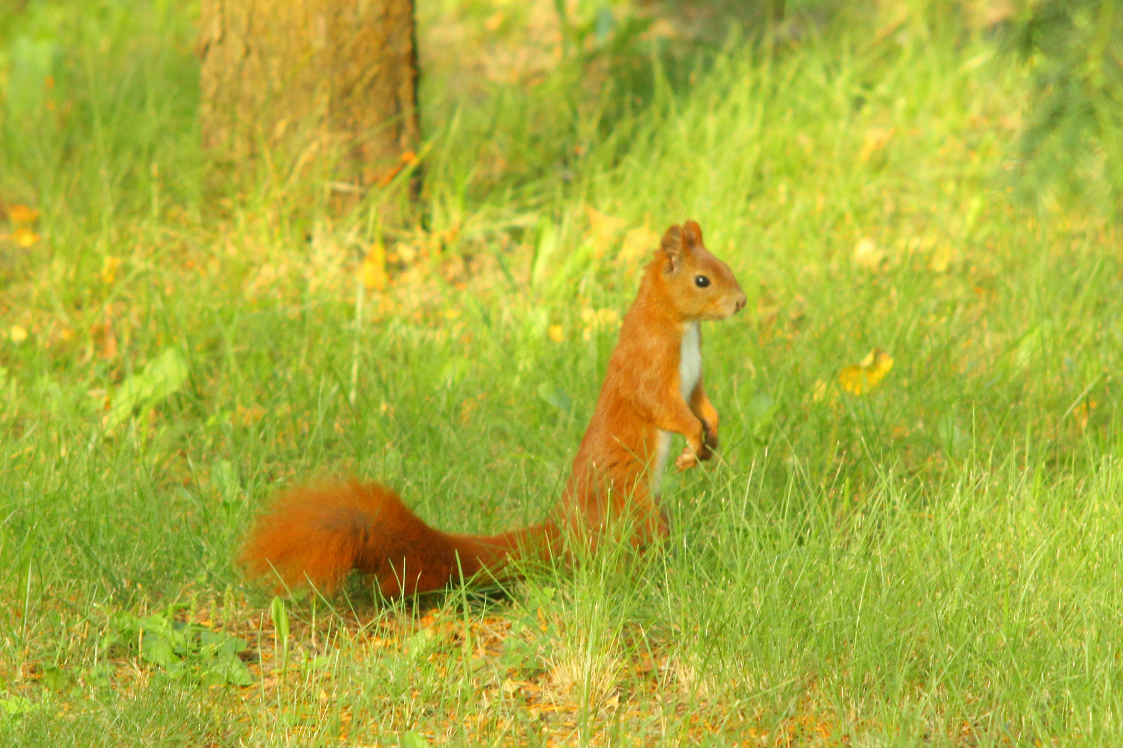 Photo by Michal Koltonowski with Canon EOS 500D
