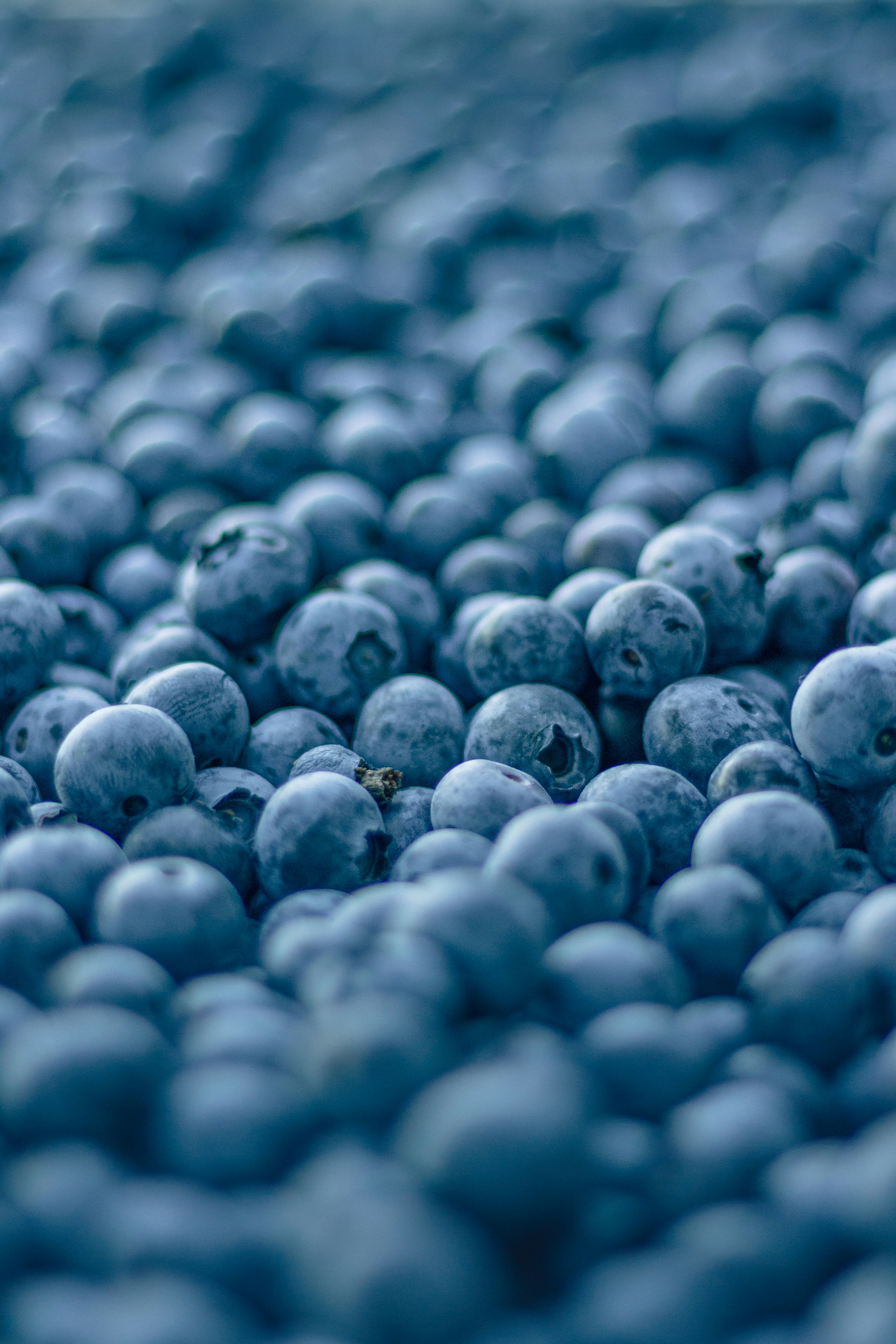Blue Tide: Close-Up of Blueberries in Soft Focus Foreground