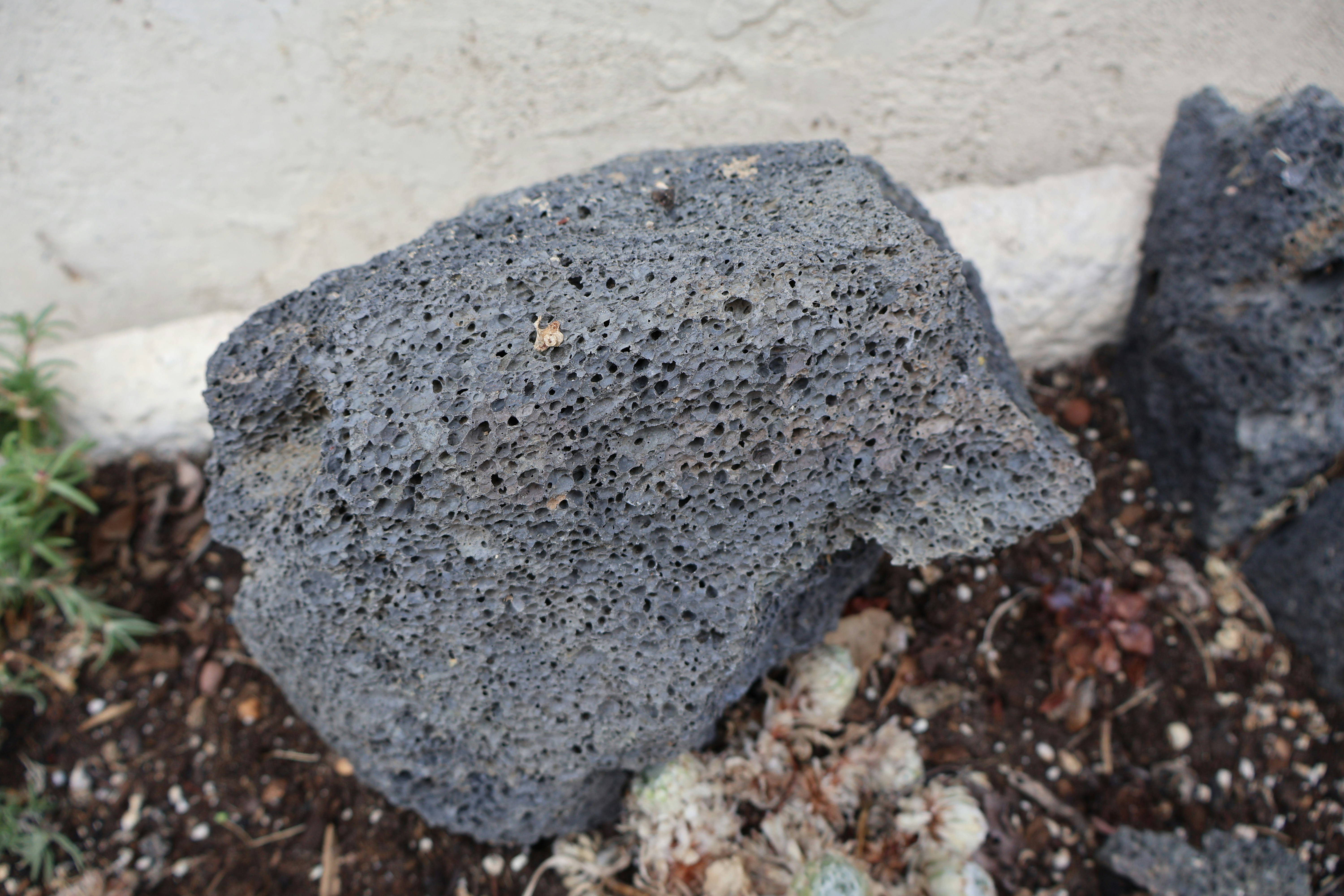 Pitted Lava Rock Under Concrete Lip