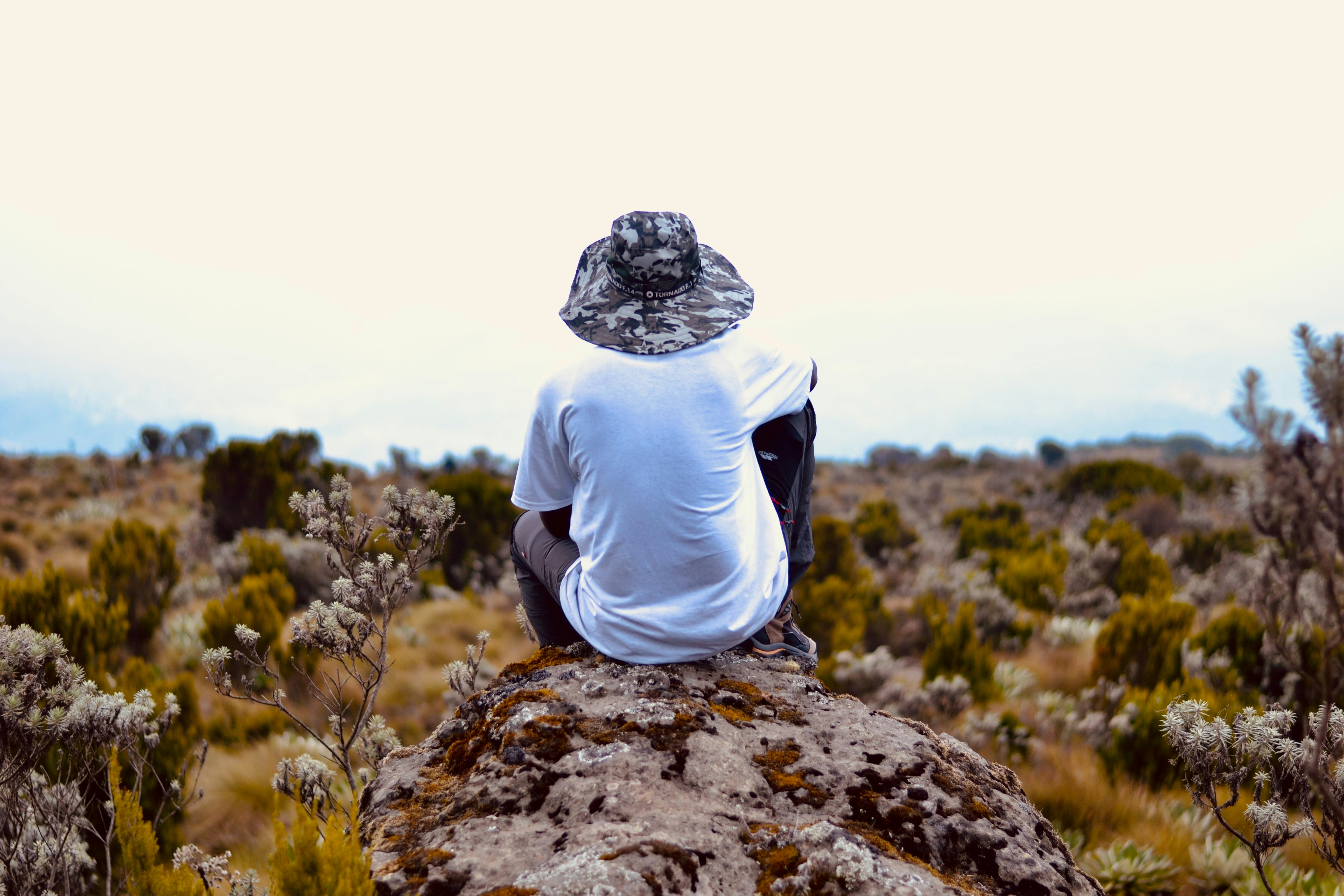 Horizon View: A Moment of Quiet atop a Weathered Rock
