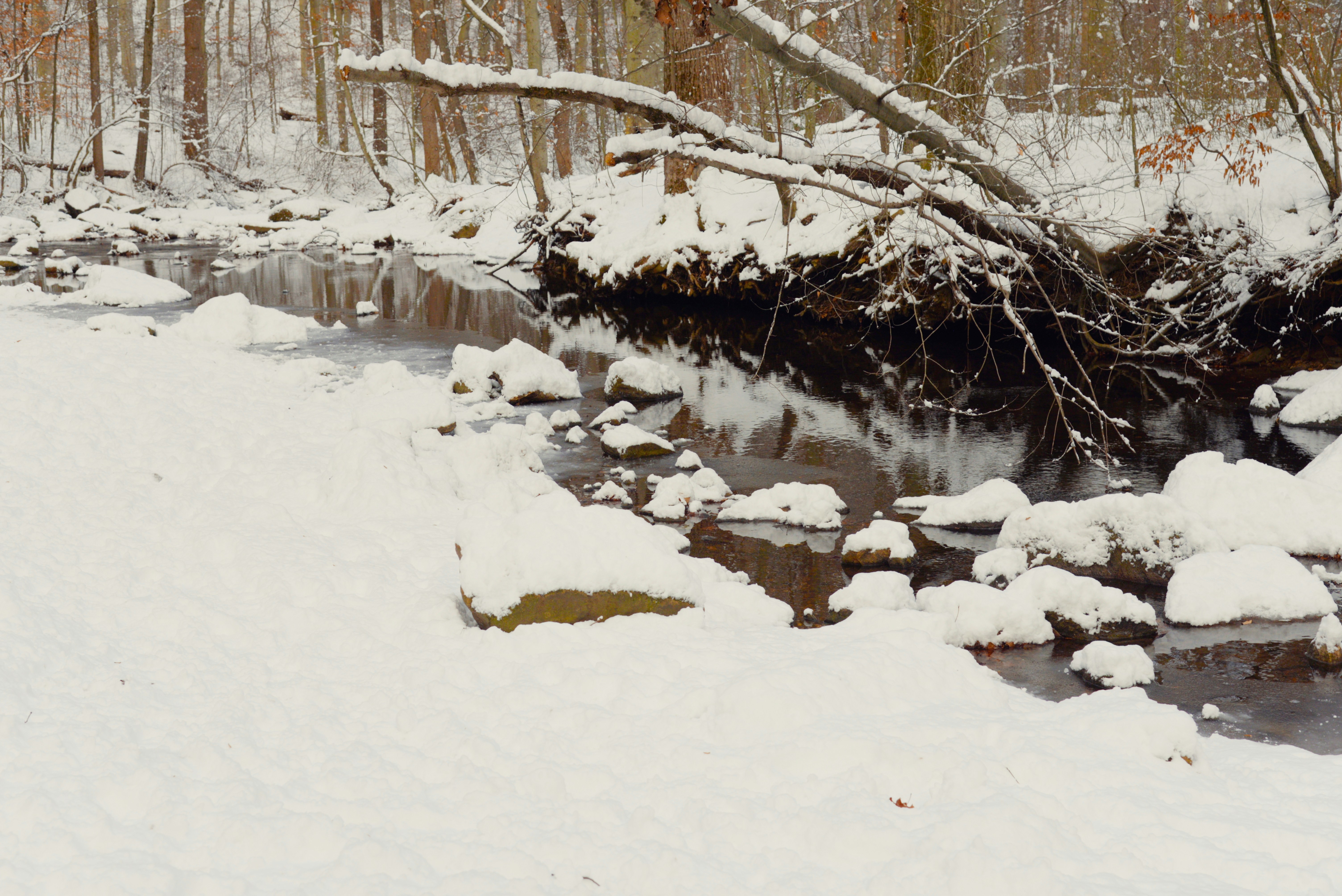 Winter Stream Tranquility: Snow-Blanketed Banks Meet Dark Water