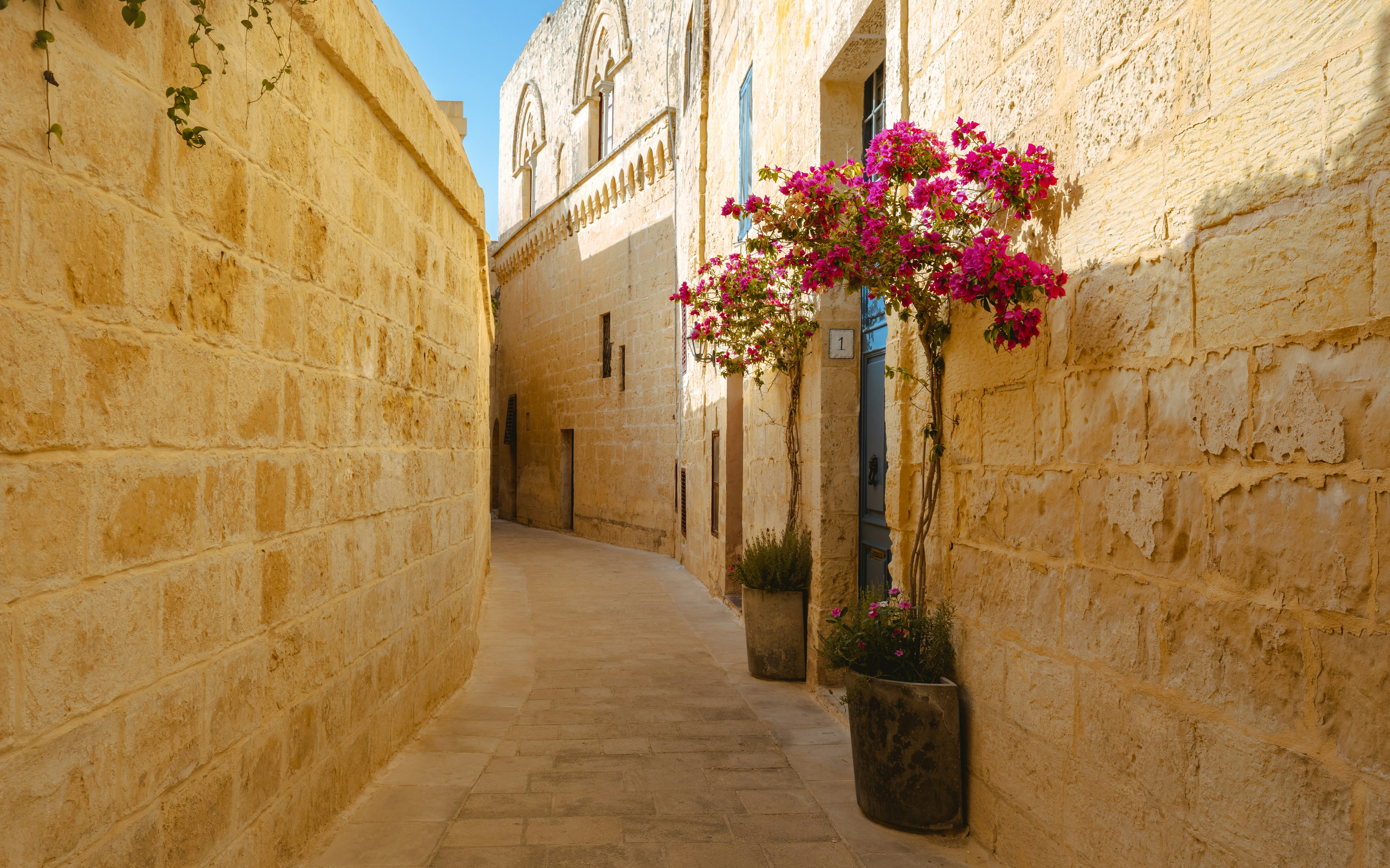 Sunlit Mediterrean Alleyway with Bougainvillea in Stone Courtyard