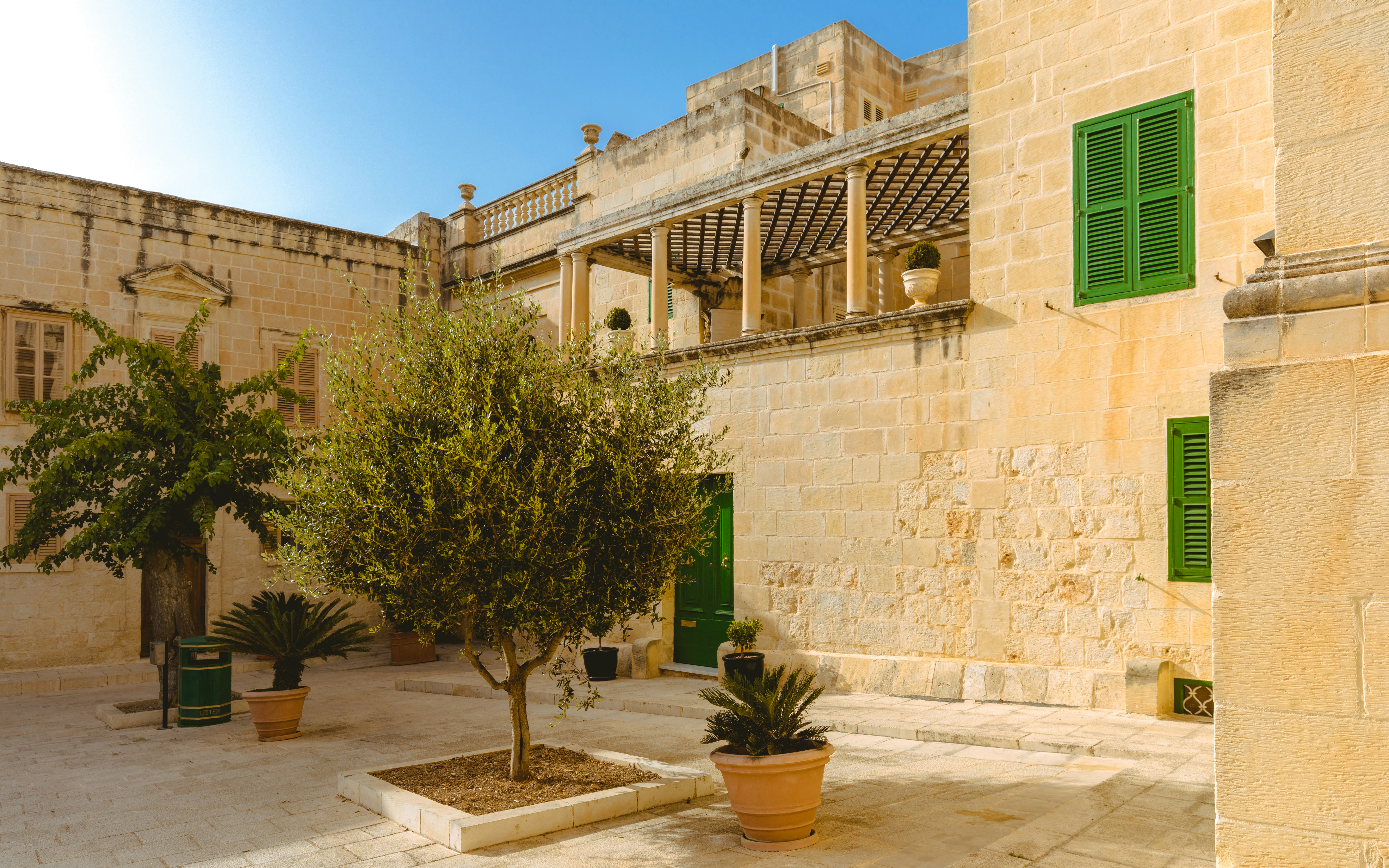 Sunlit Courtyard of Antiquity with Olive Tree