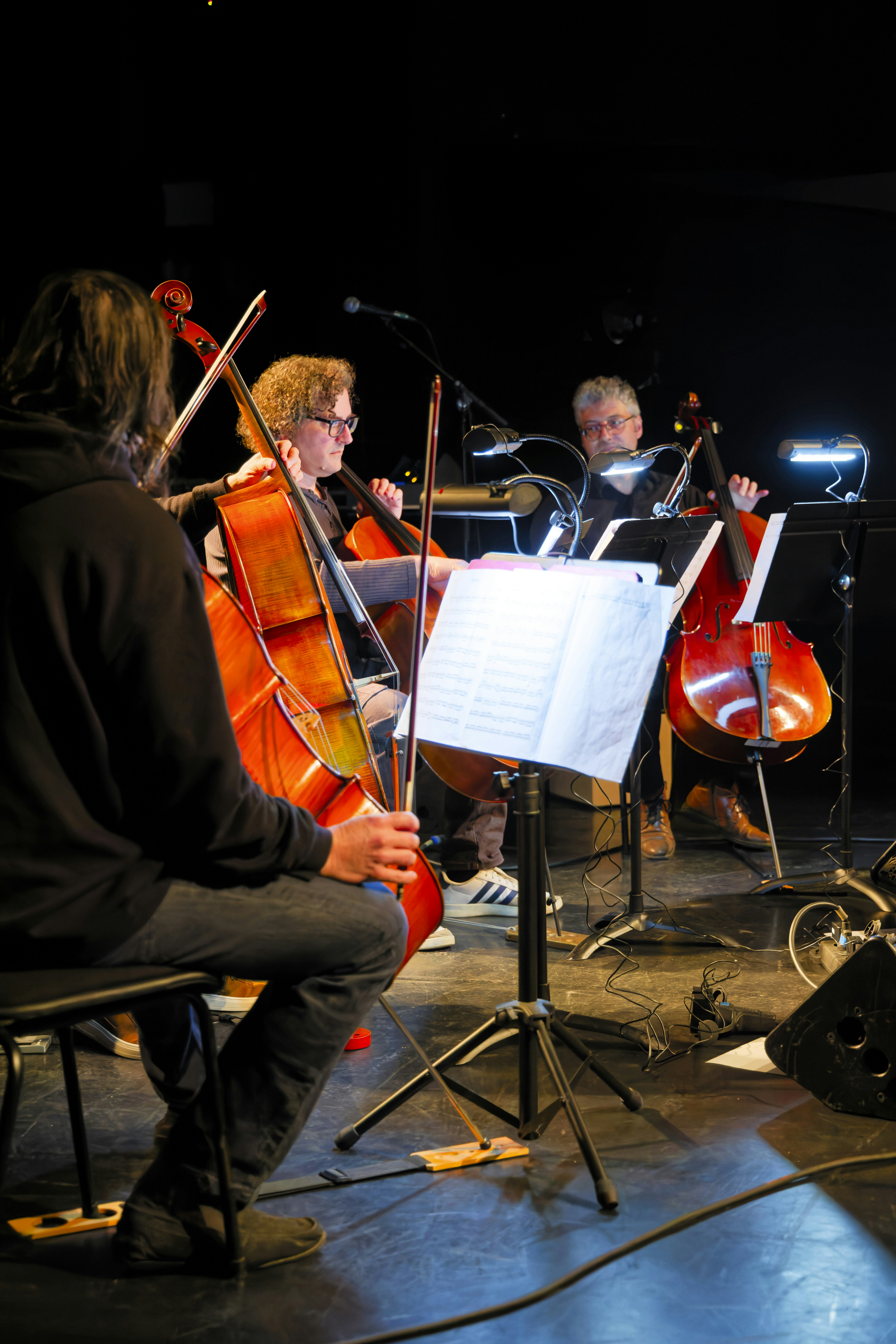 String Quartet in Focus: A Musicians' Moment Under Stage Light