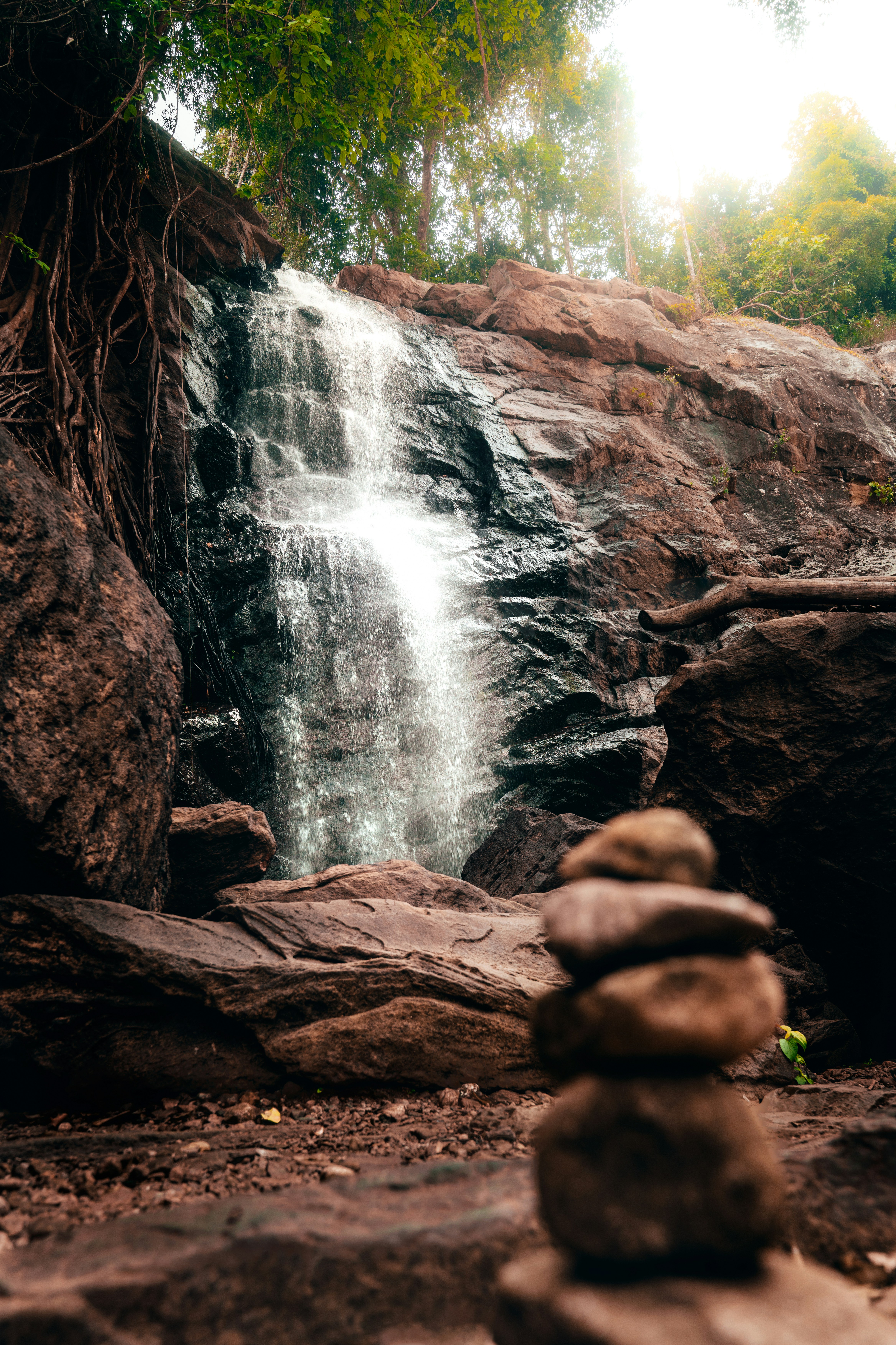 Waterfall Forest photo shot on Sony Alpha 7 IV
