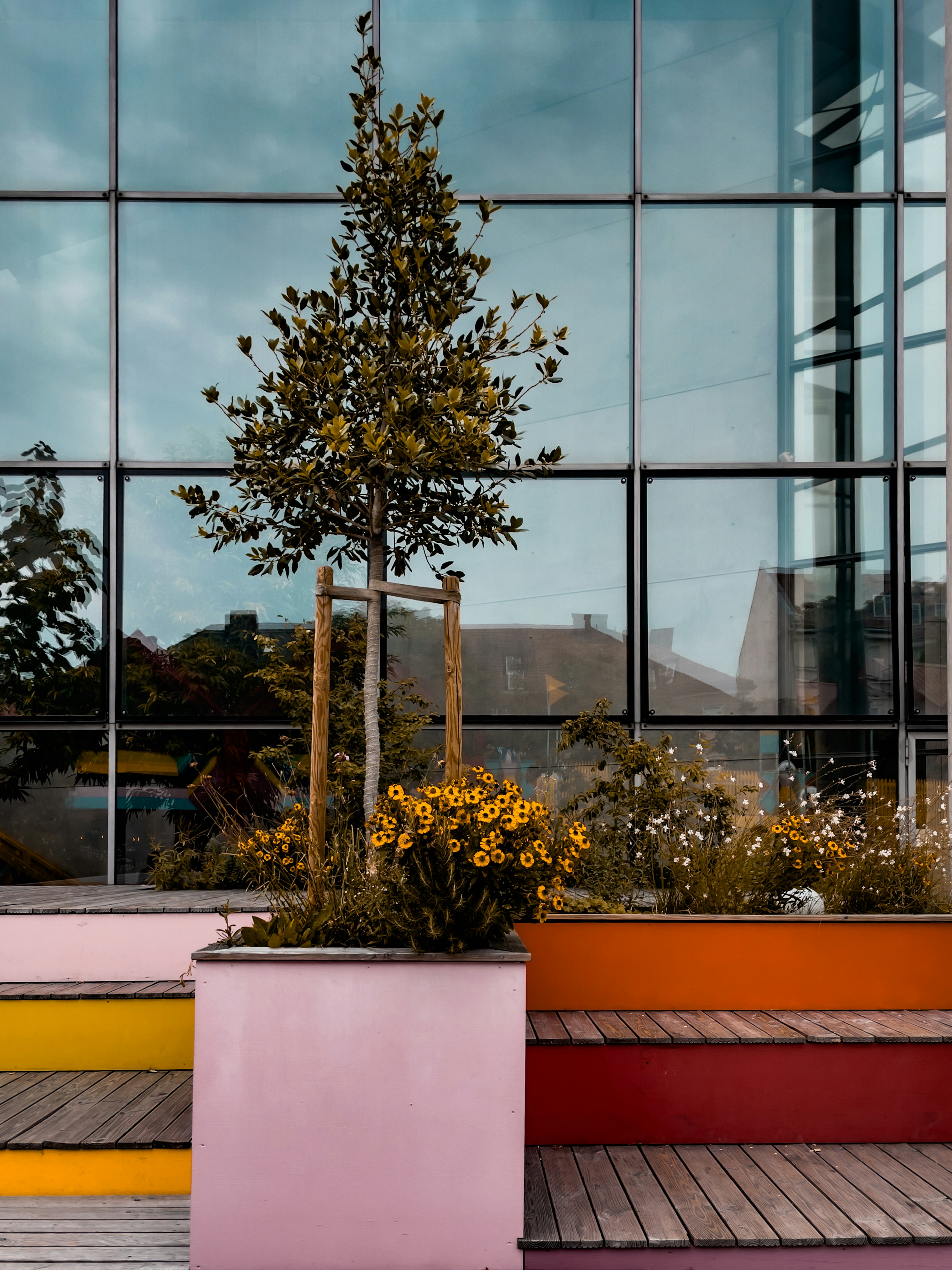 Colored Planter Steps Framing a Central Tree Against Glass Facade