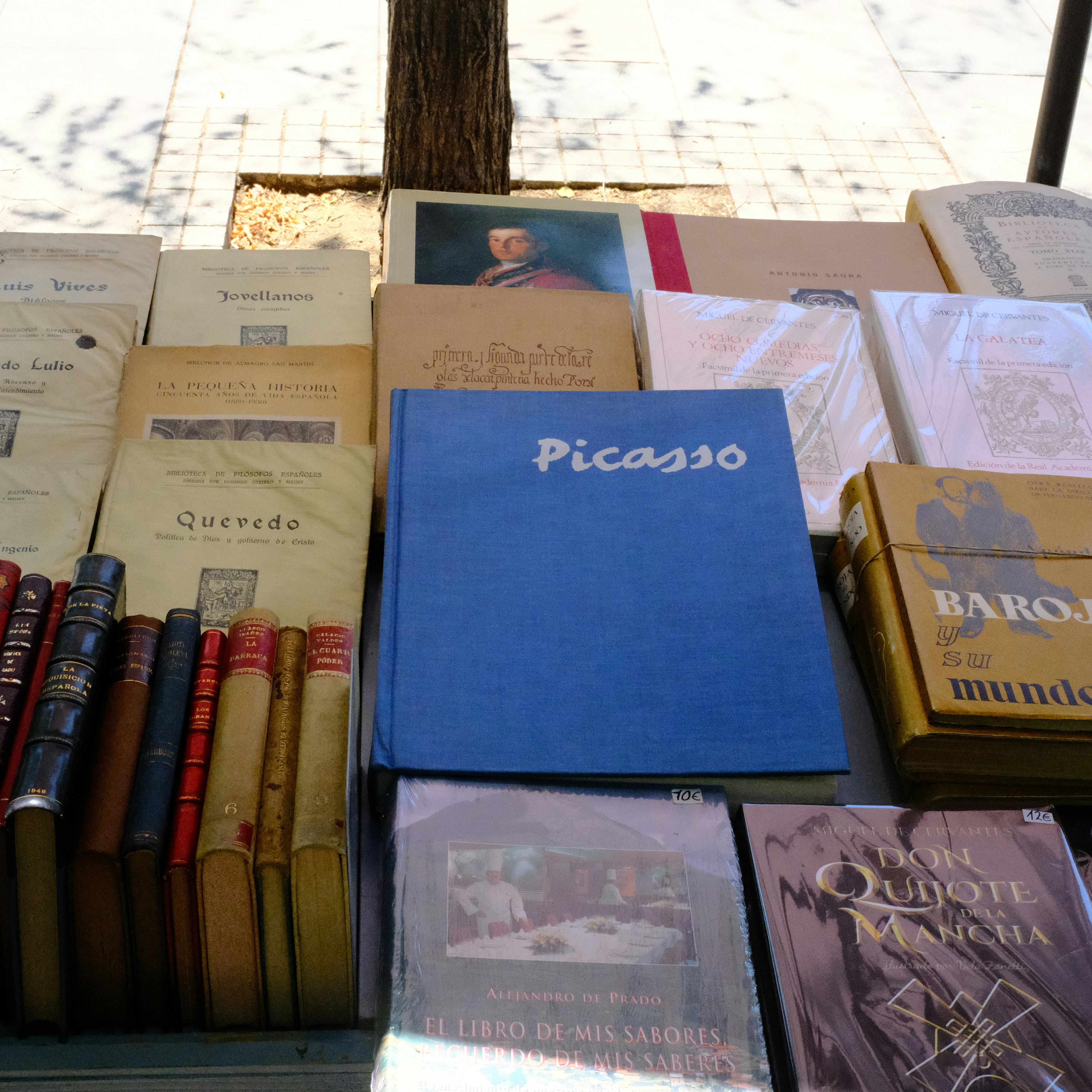 Blue Picasso Tome Among Earthy Volumes