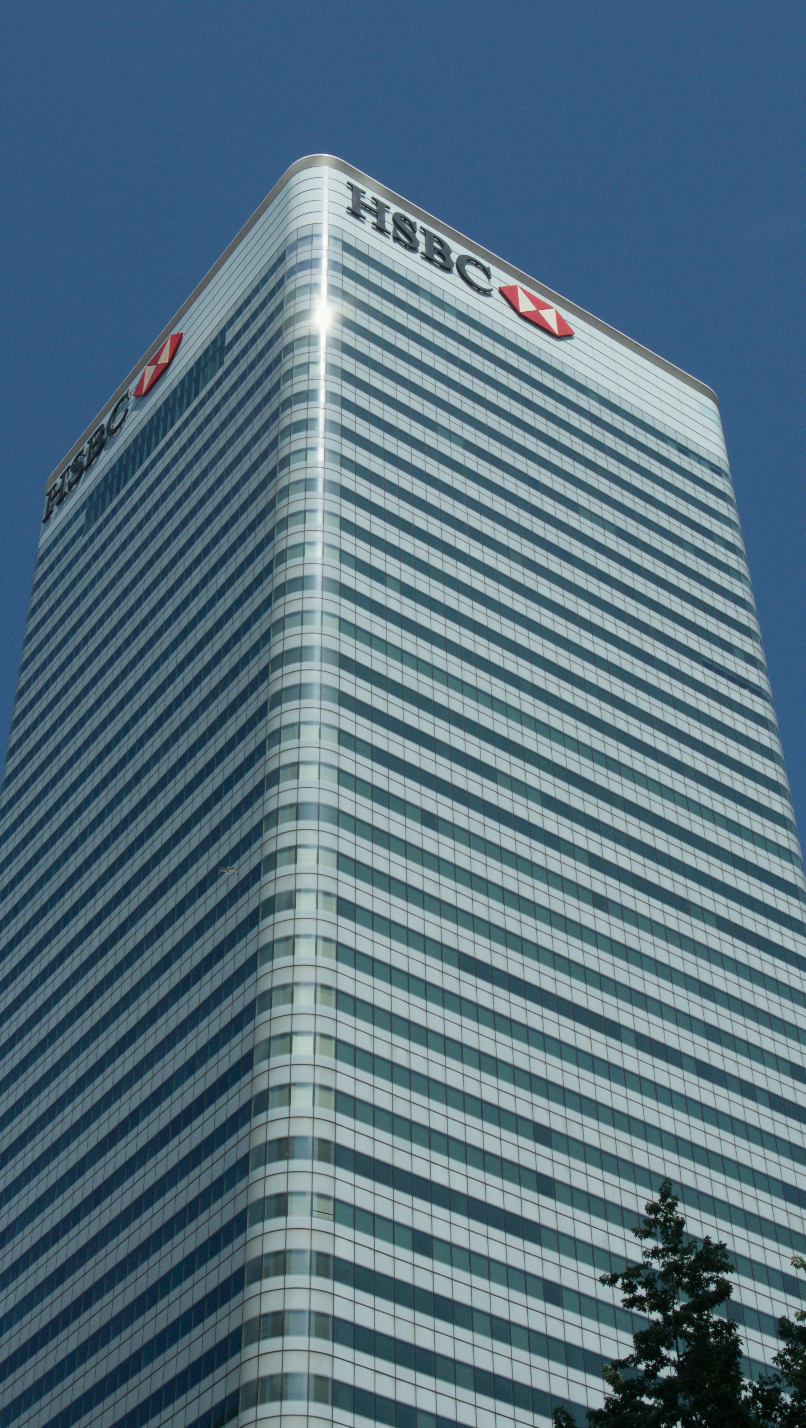 Skyward Banking: The HSBC Crest Rises Over a Glass Canyon