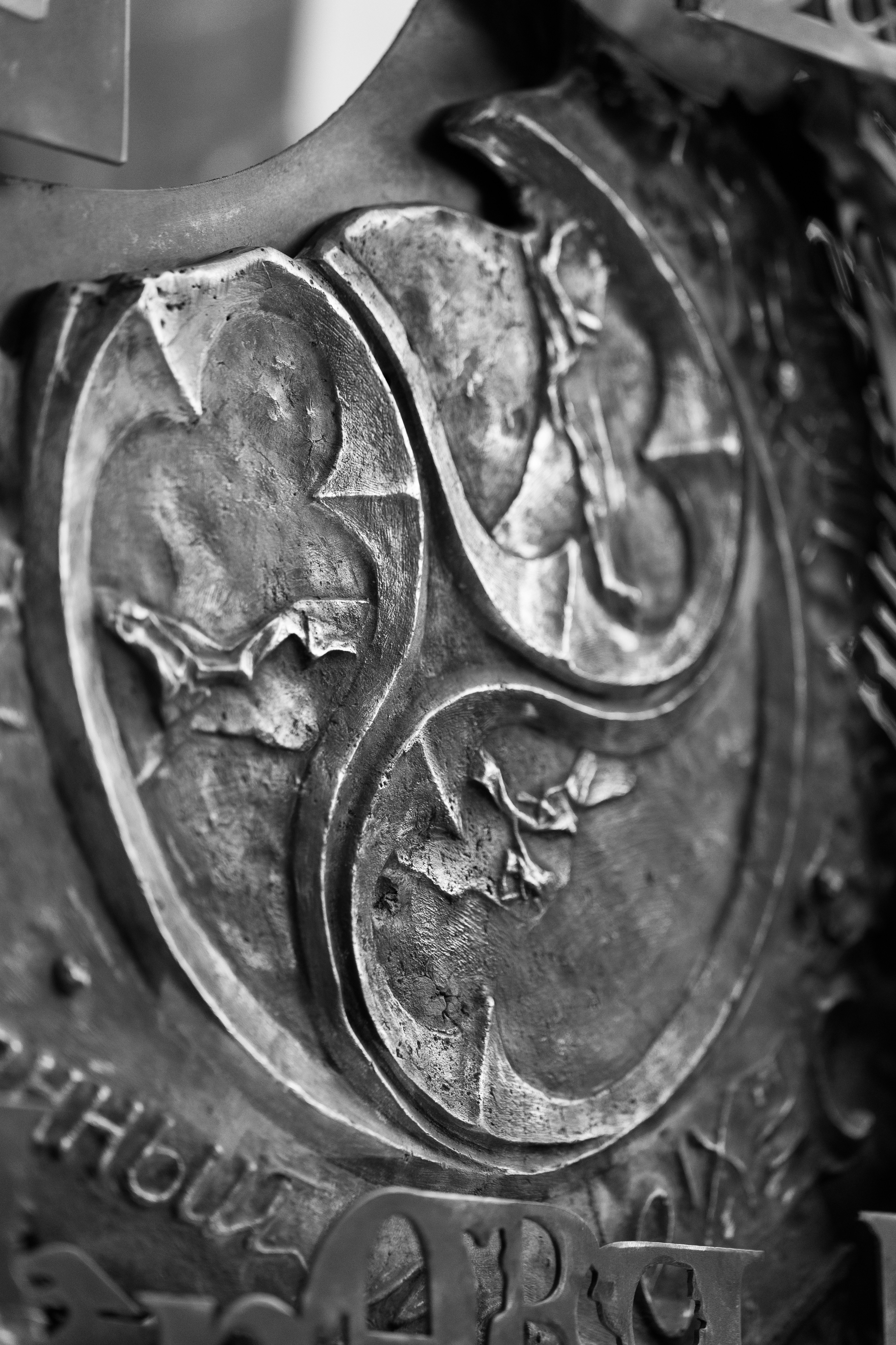 Carved Emblem in Time: A Weathered Stone Crest