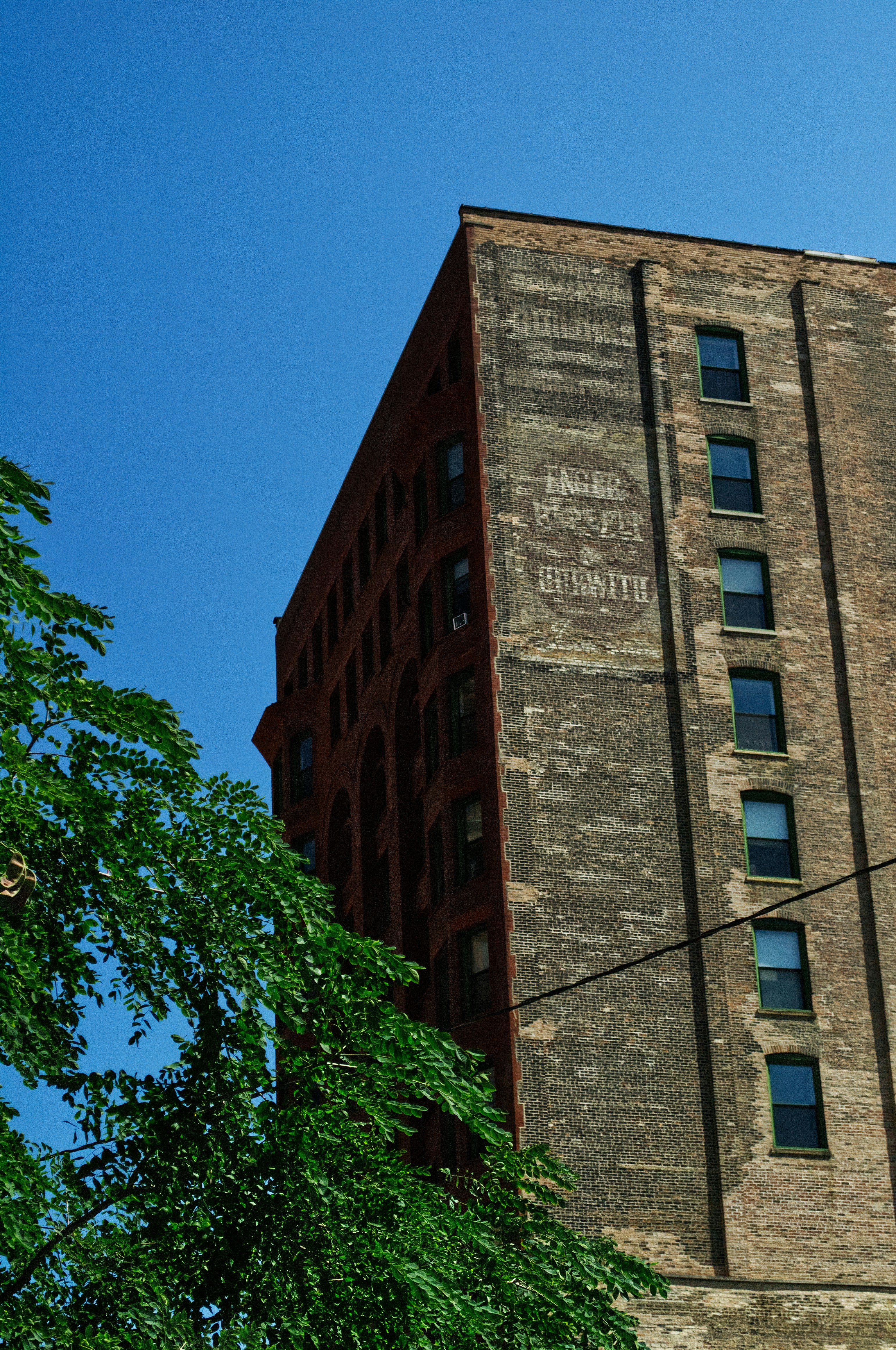 Brick Stairway to the Sky: A Sunlit Urban Facade with Verdant Foreground