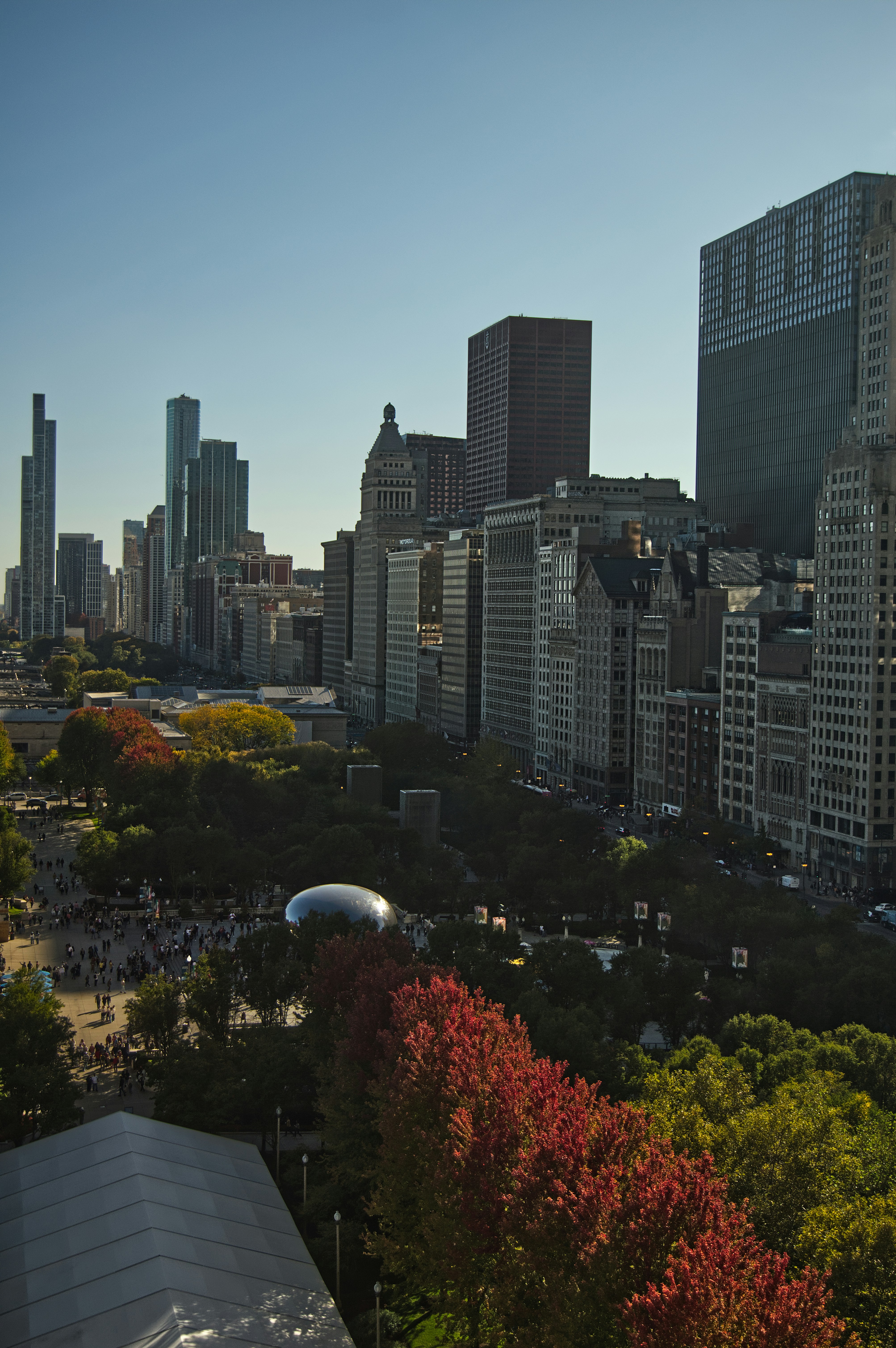 Urban Canopy: A Fall of Architecture Over Plaza Green