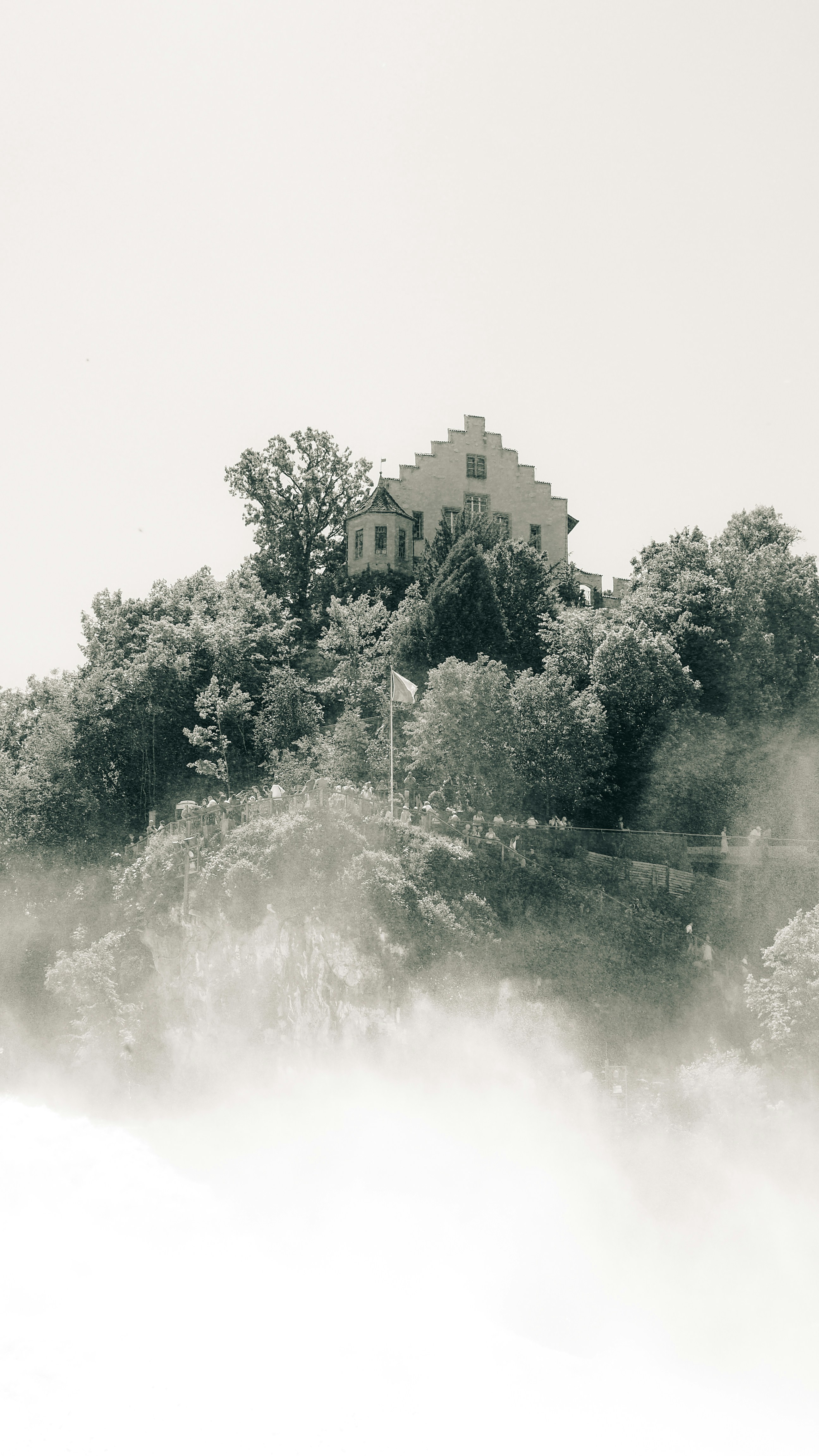 Castle on the Hill: A Quiet Monument Surrounded by Pines