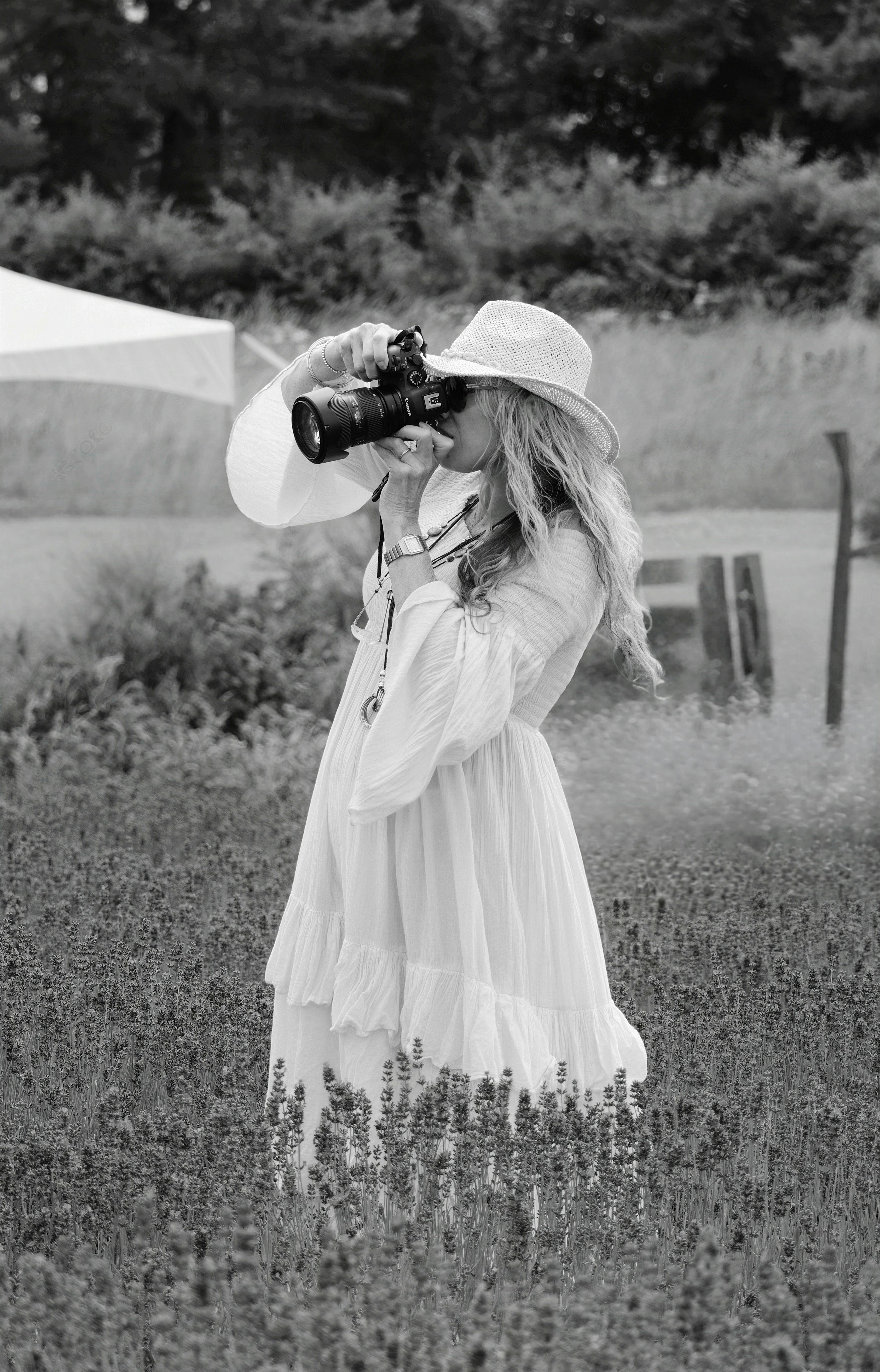 A woman in a white dress and hat with a camera stands in a field, capturing a shot amid tall grasses and a blurred background. This is a photographic portrait scene.