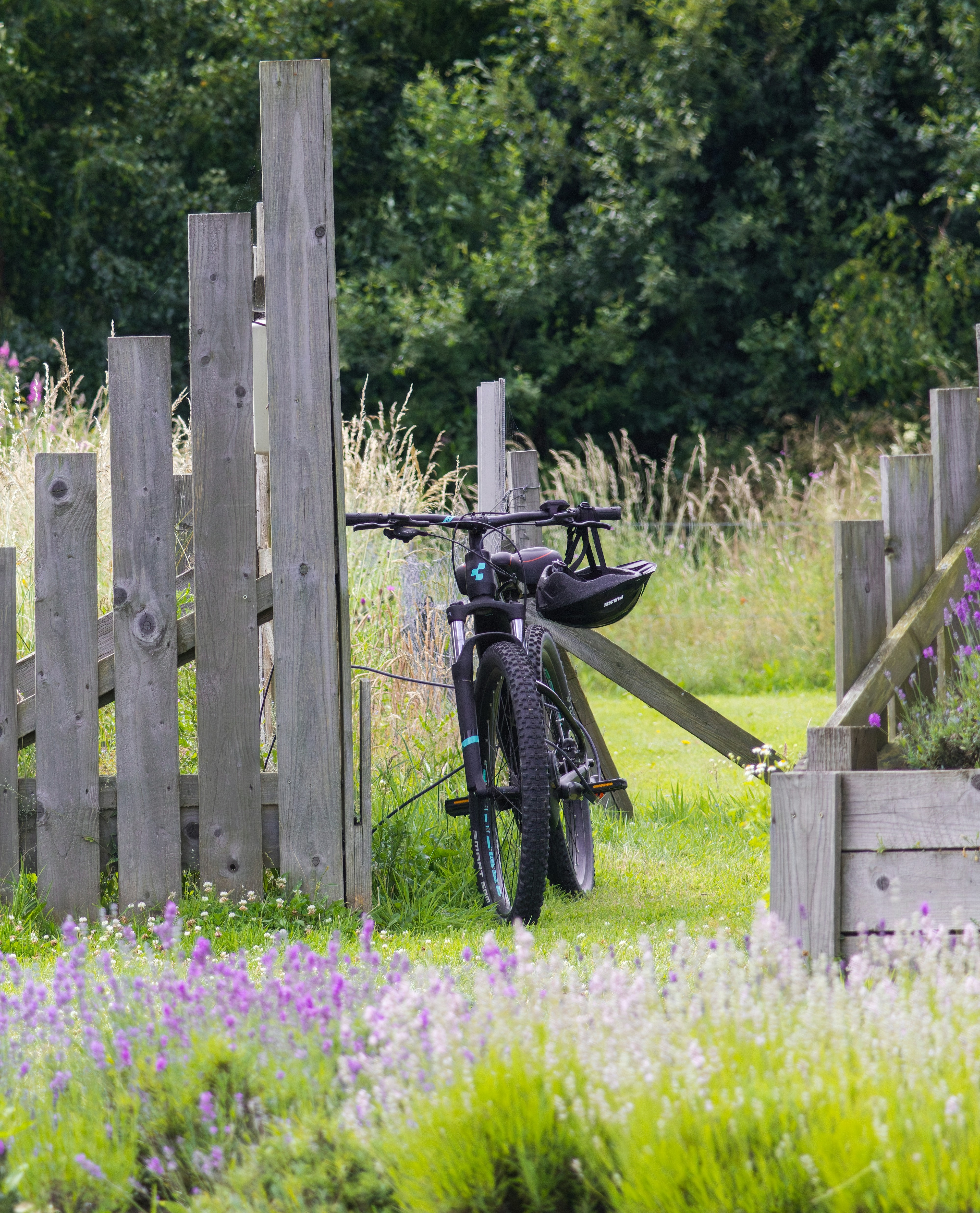 Silent Rider: A Bike Resting Among Weathered Planks