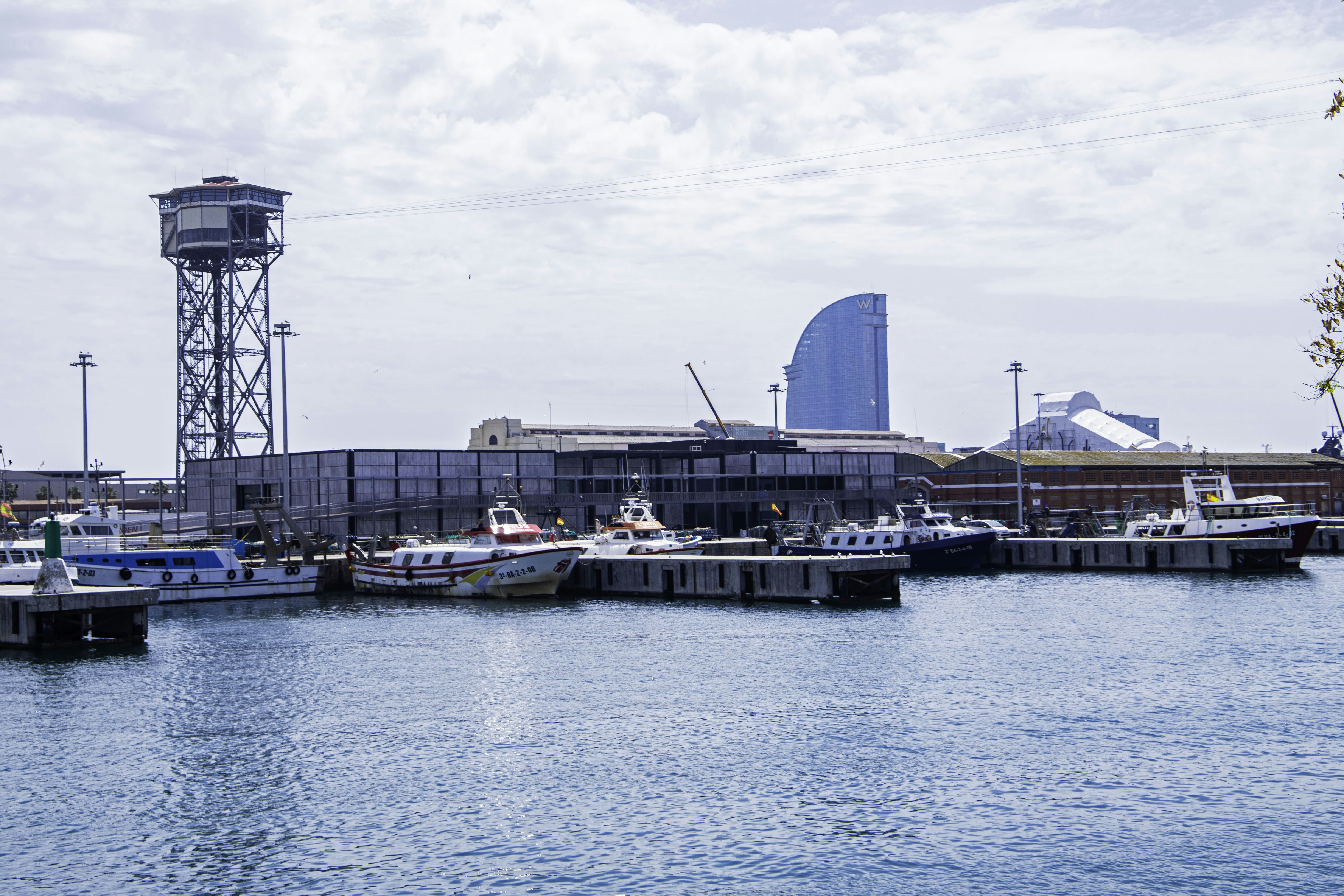 Harborfront in Quiet Marina Light