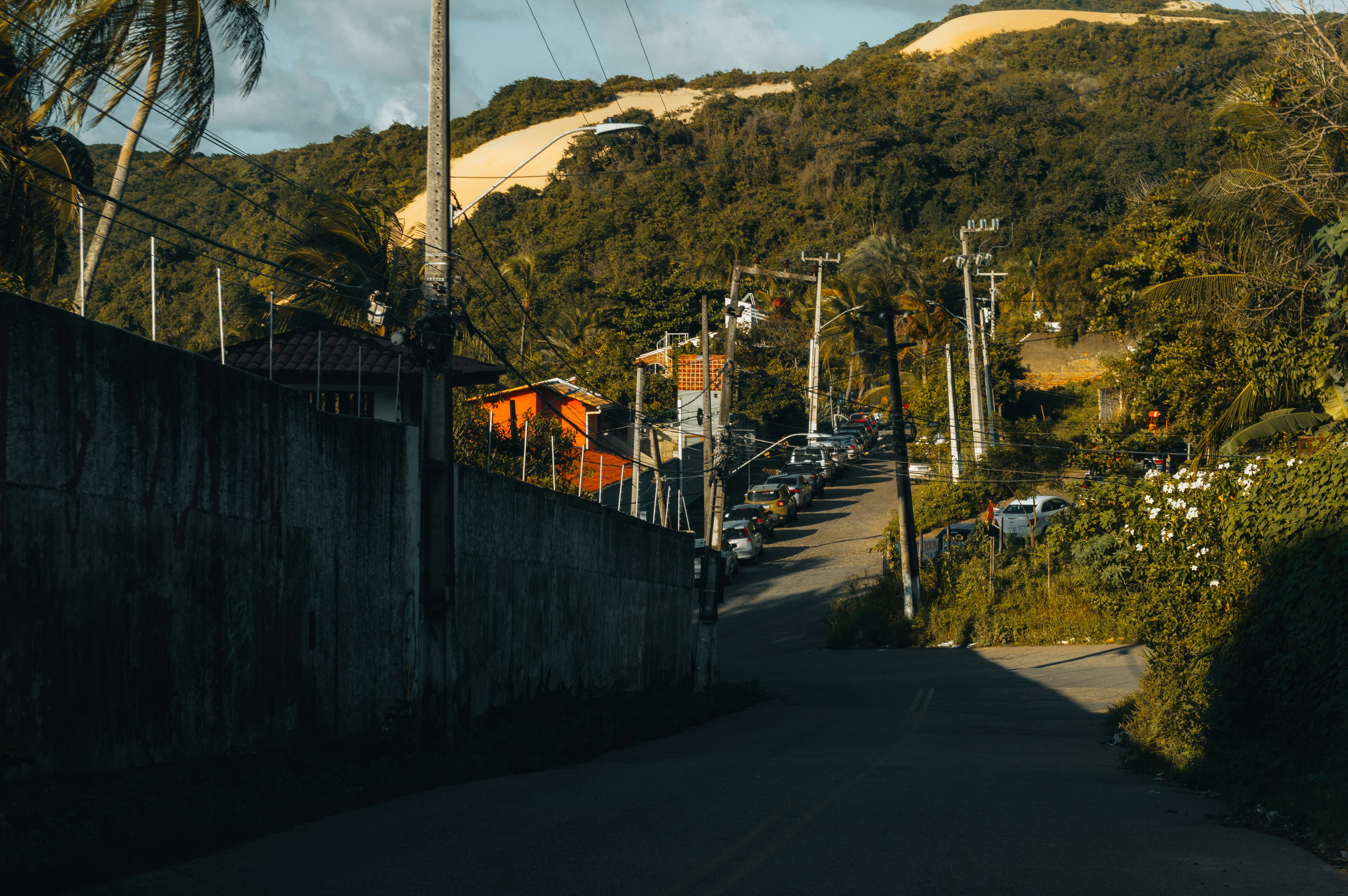 Sunlit Street Carve: A Quiet Hillside Road Framed by Power Lines and Palm Shadows
