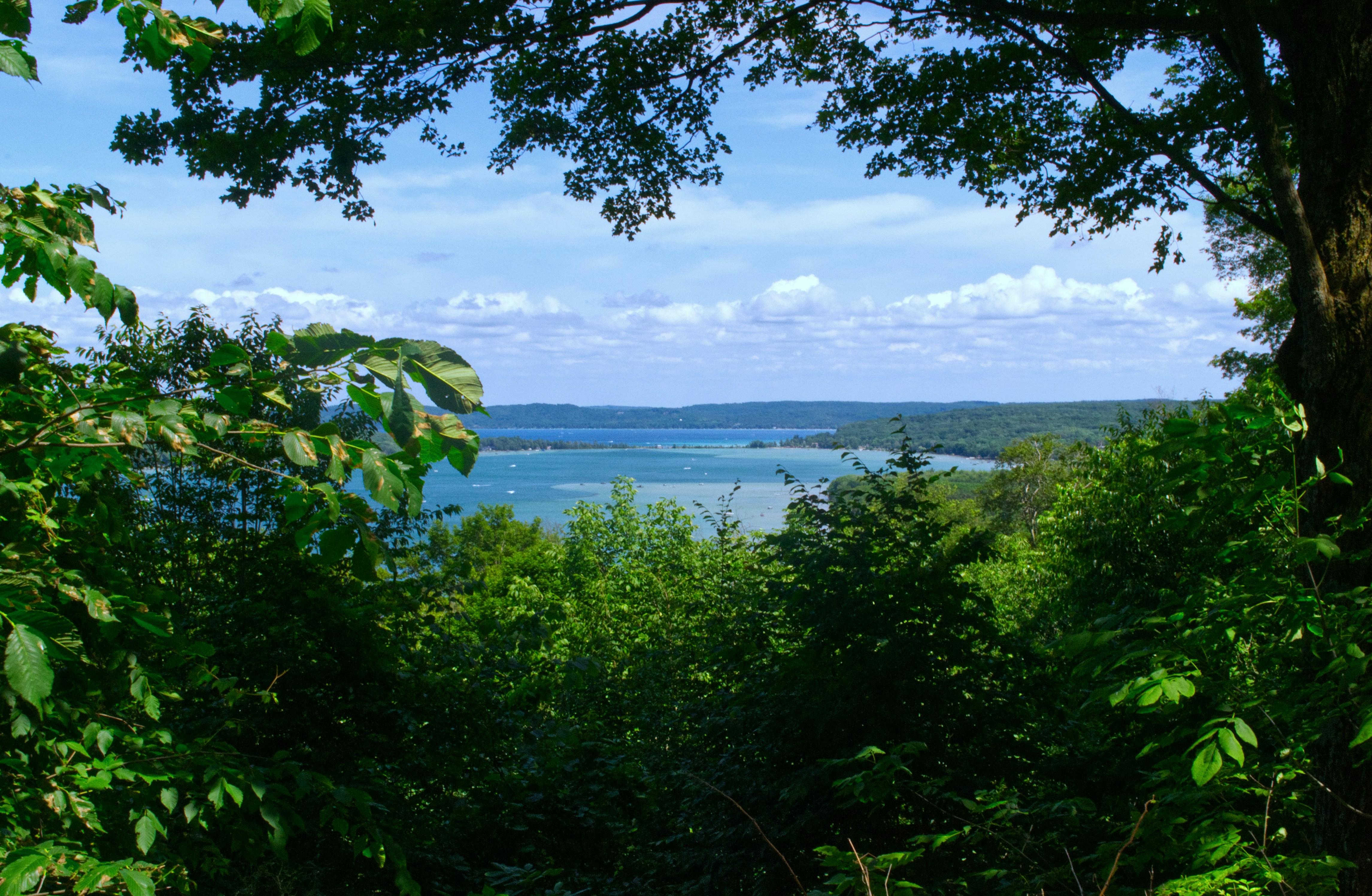 Azure Horizon Behind Verdant Frame: A Lake View from the Woods