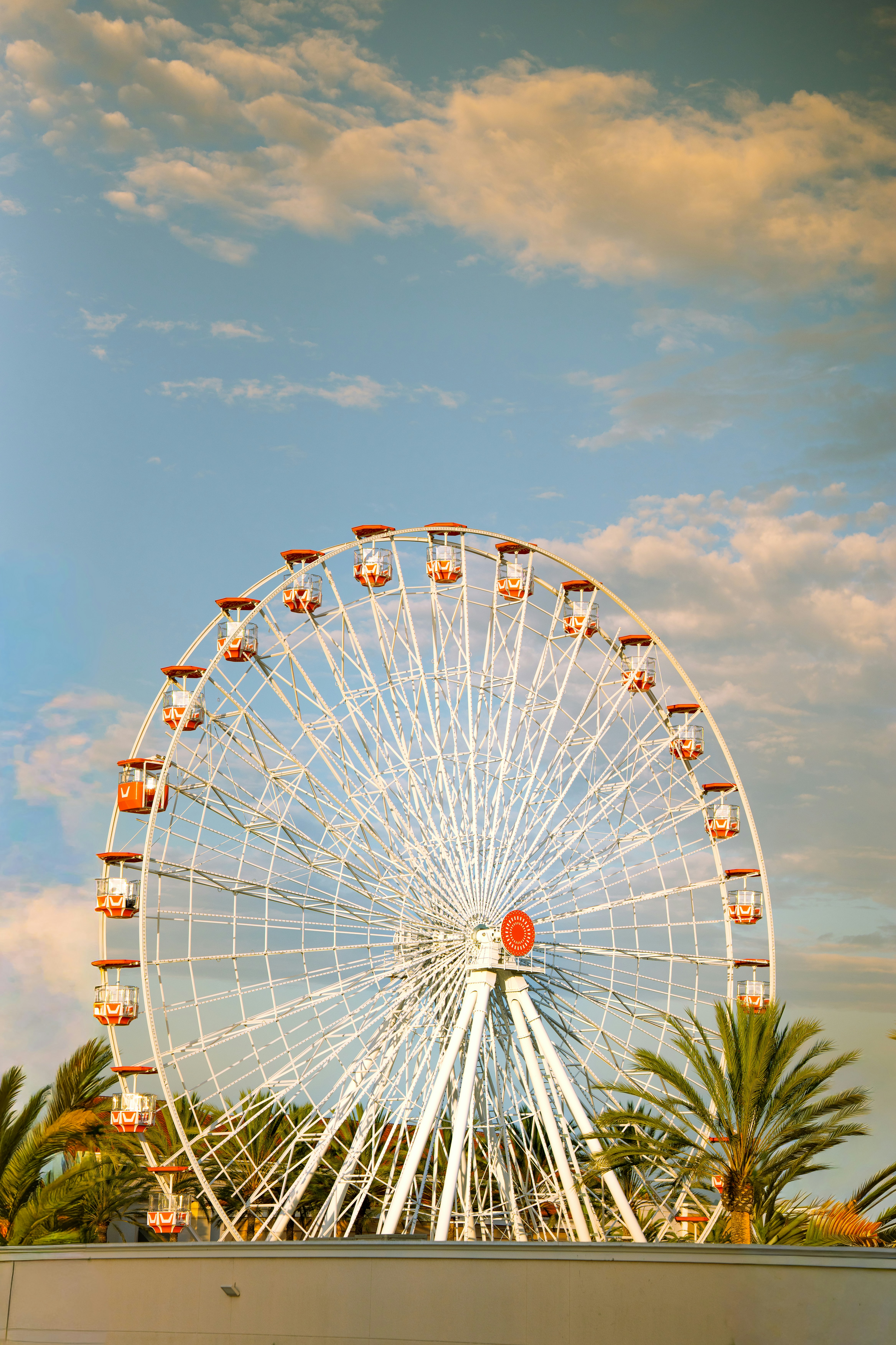 Sunlit Giant Wheels: A Palm-Backed Ferris Moment
