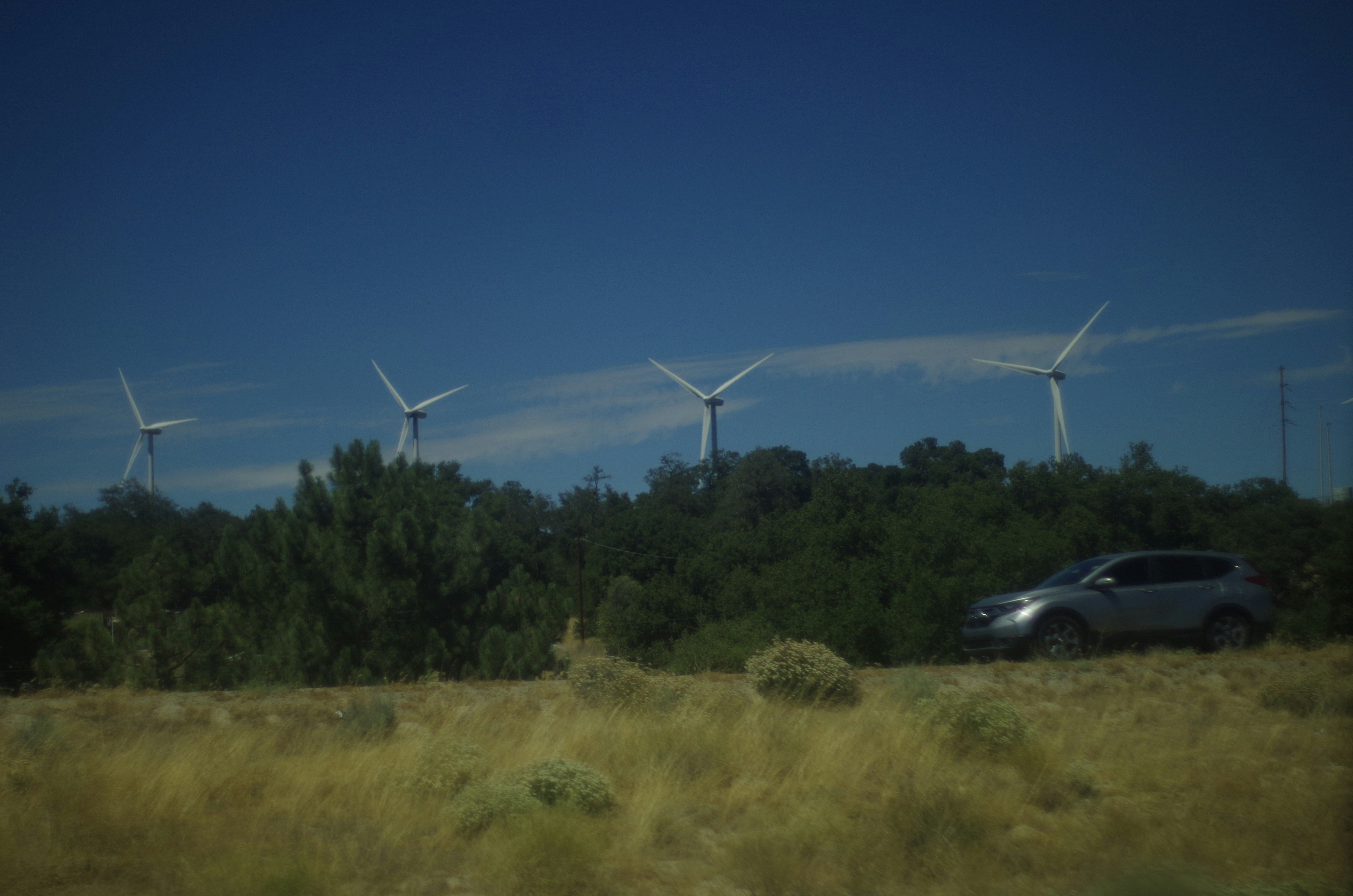 Car traversing a sunlit ridge with wind turbines visible above trees; a calm, open landscape during daytime.