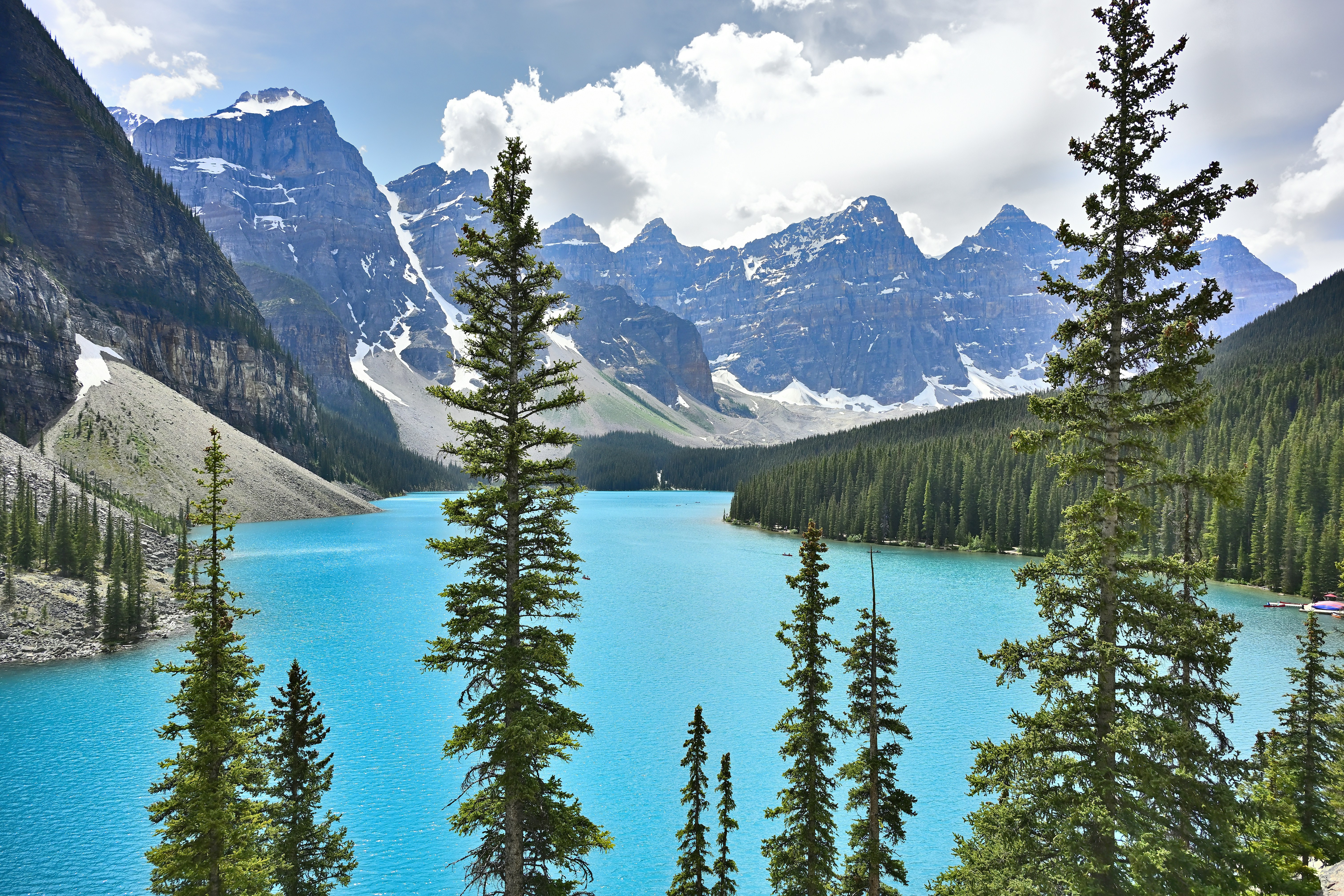 Emerald Lake Between Sentinel Pines and Snow-dusted Peaks