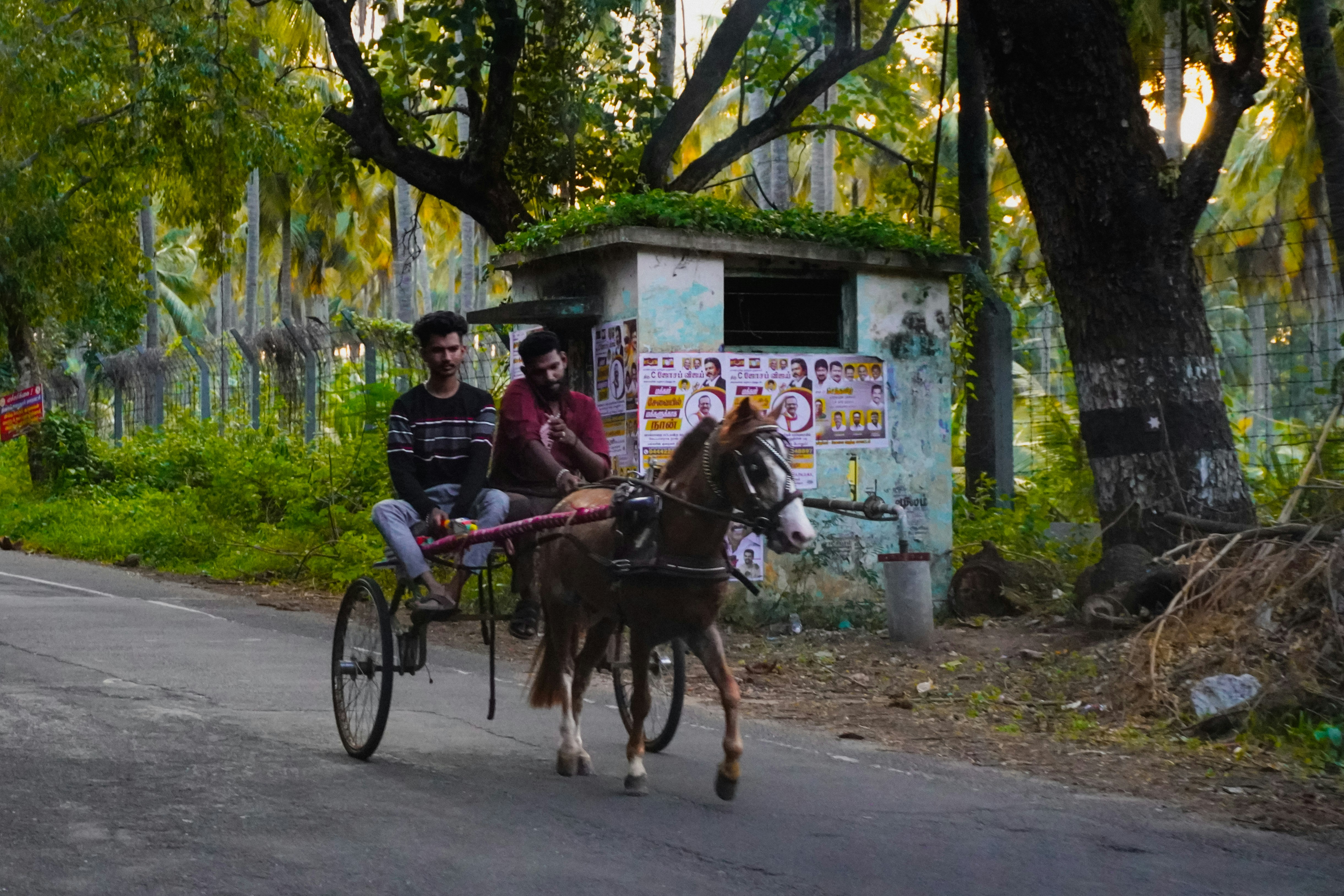 Rider and Pony Cart on a Quiet Rural Road