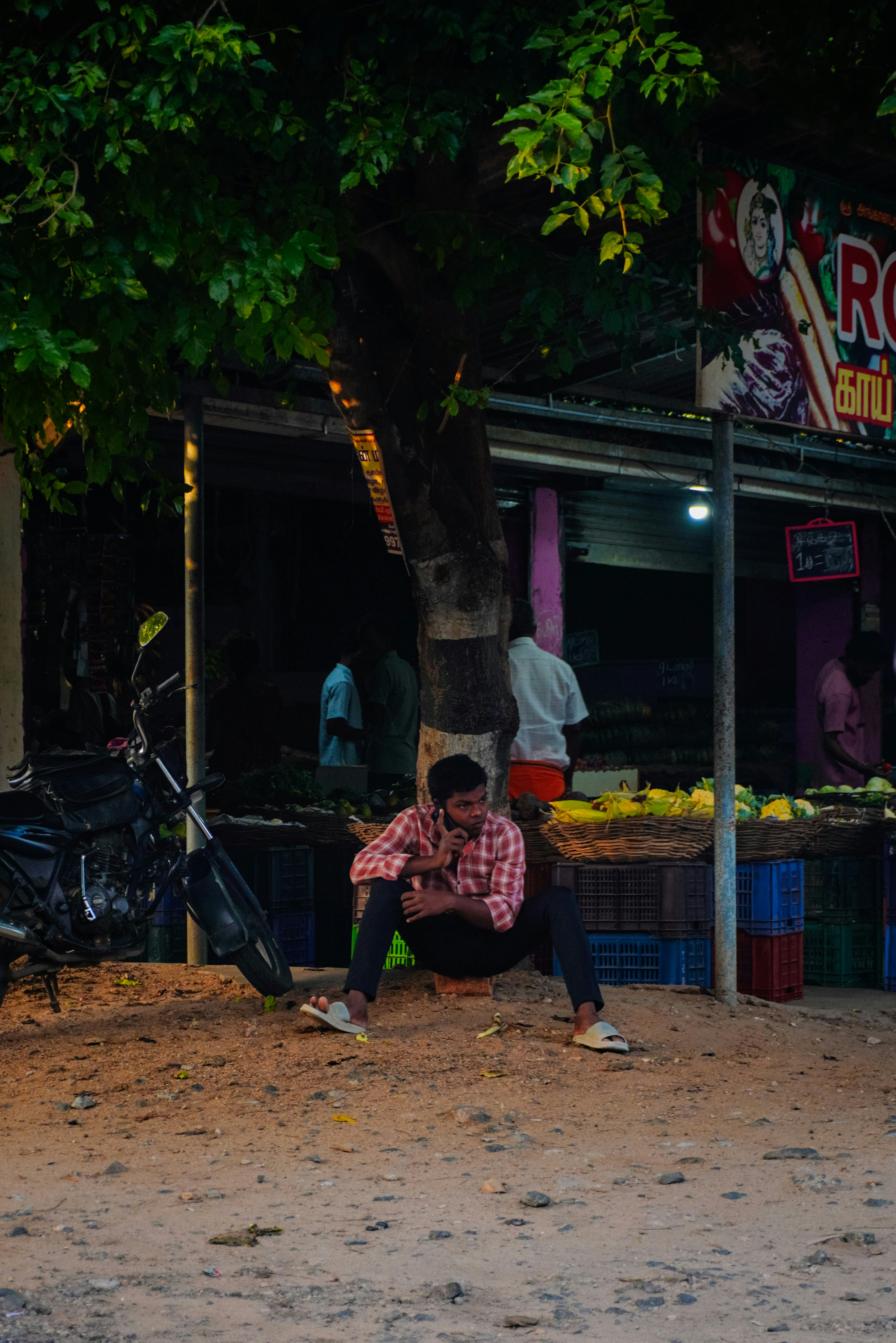 Grounded Reflections: A Moment of Quiet Under the Market Tree