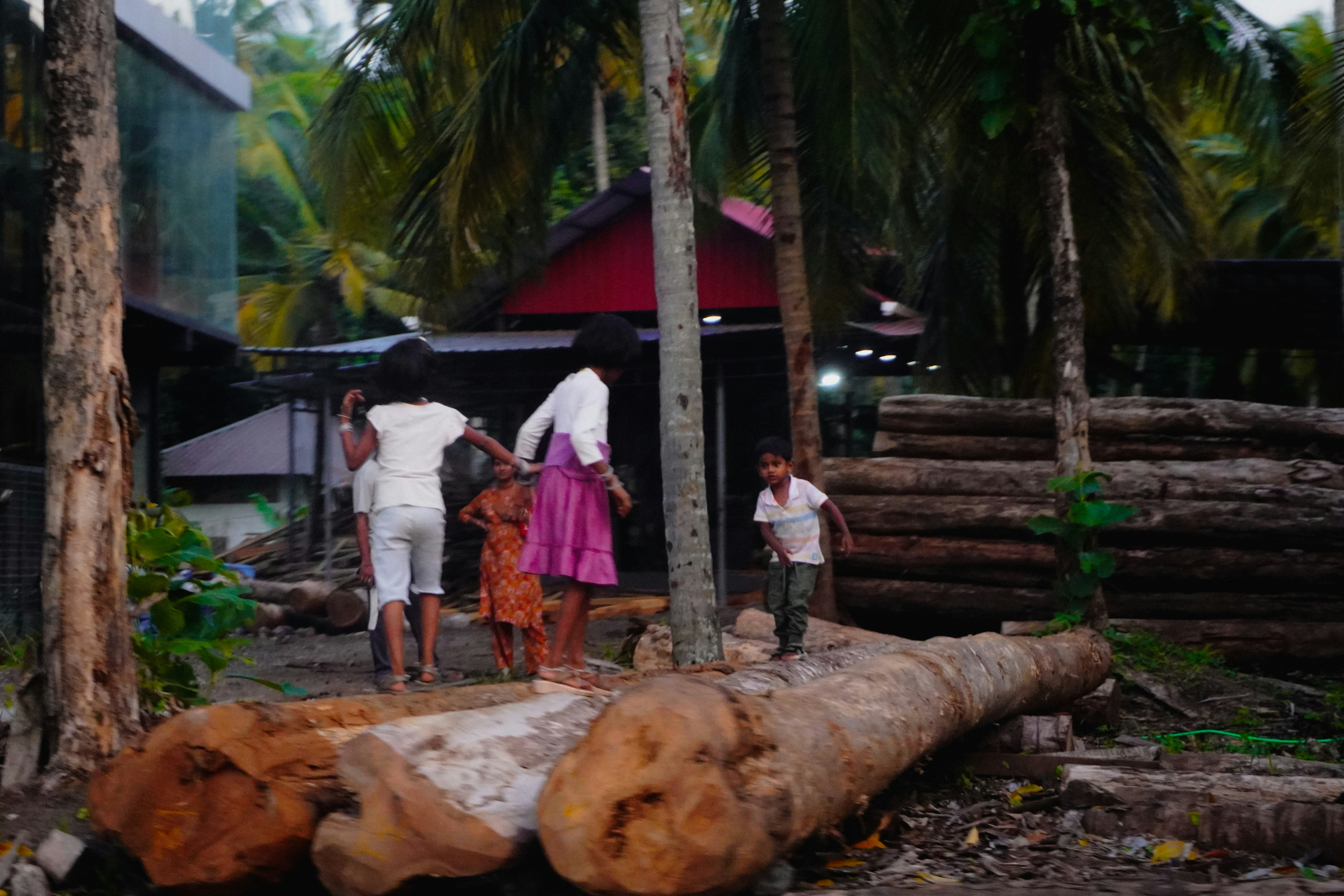 Children on a felled log amidst tropical trees
