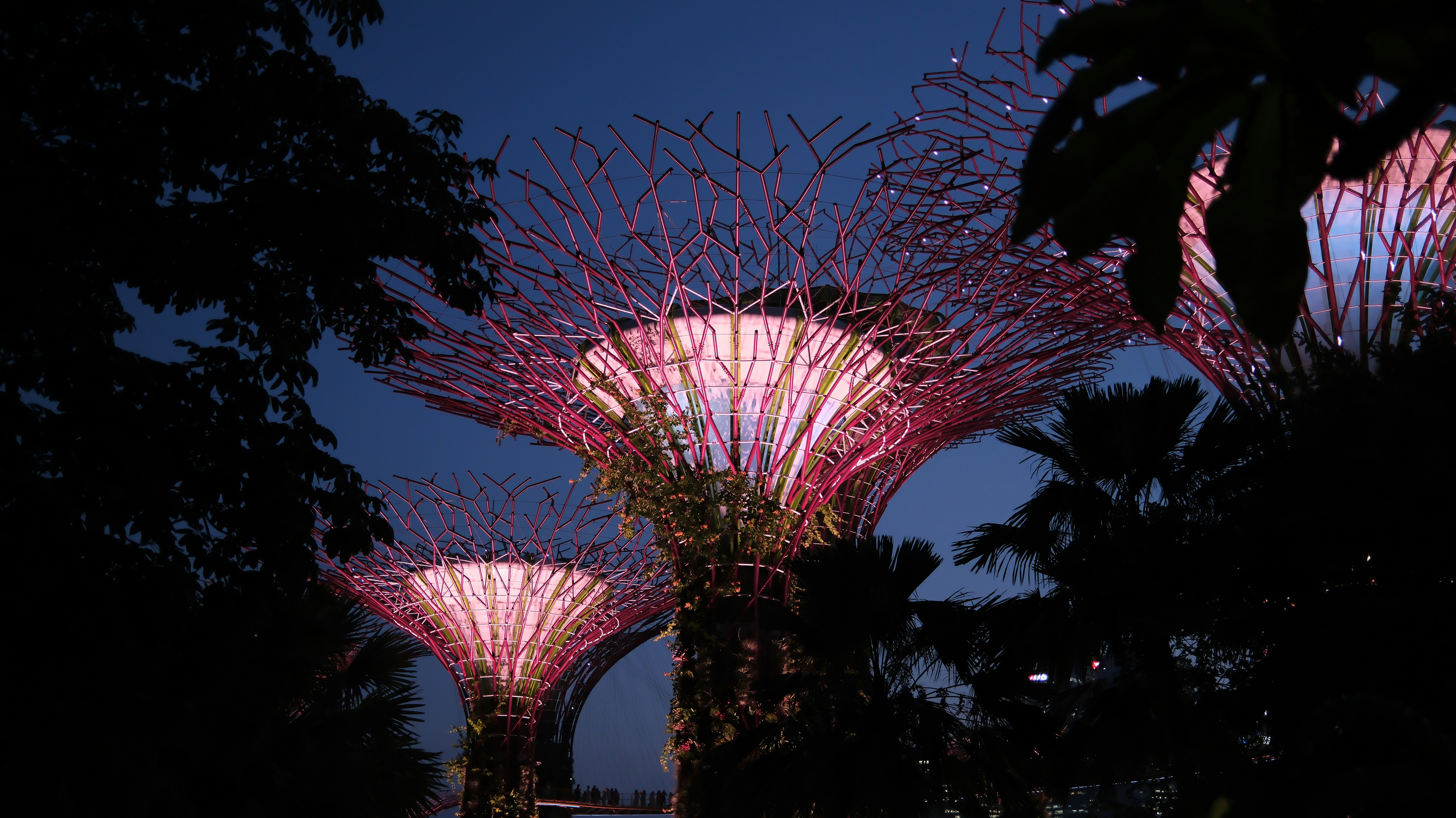 Illuminated Tree Sculptures at Dusk