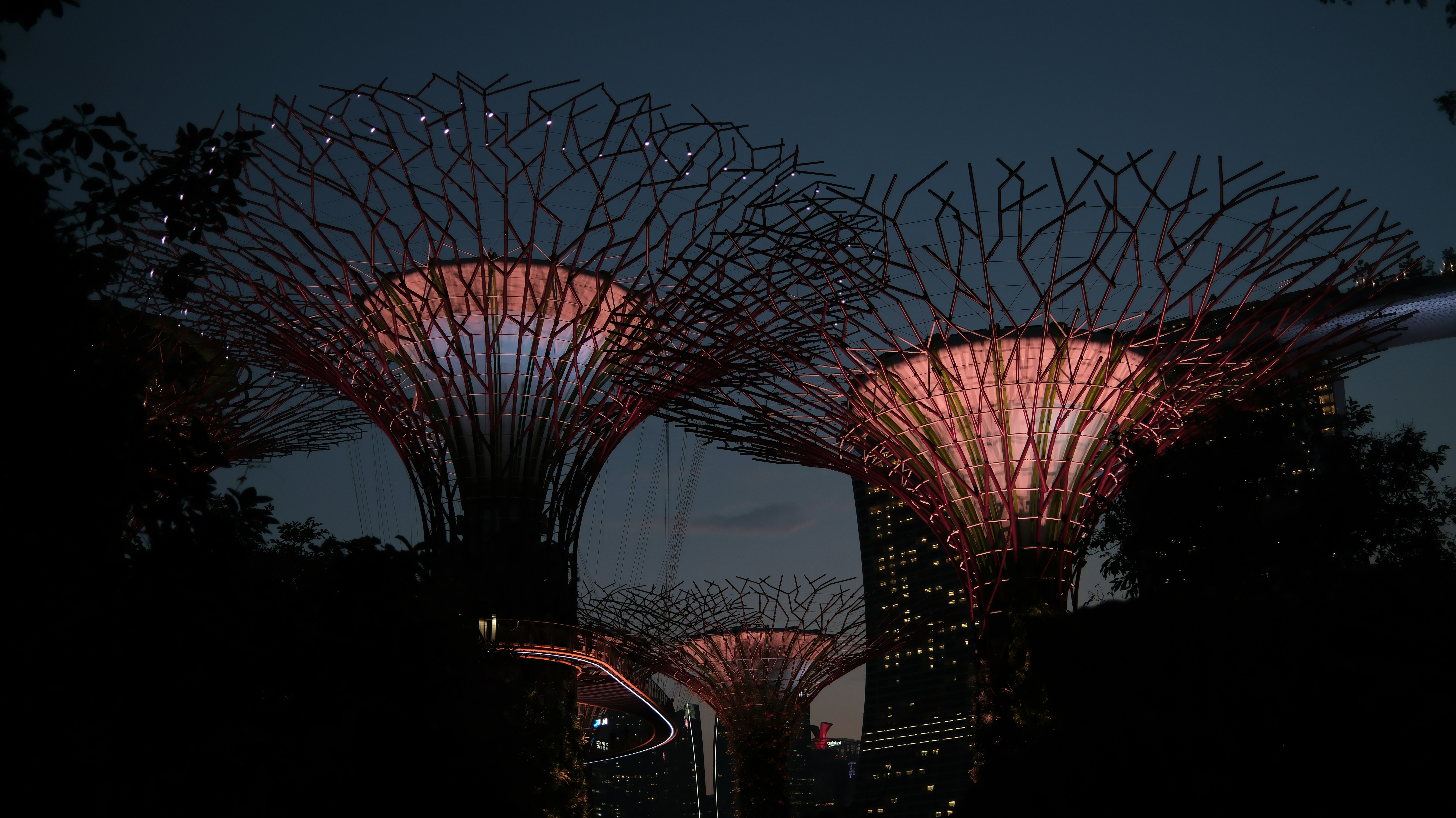 Illuminated Supertrees at Night: An Urban Sonata in Light