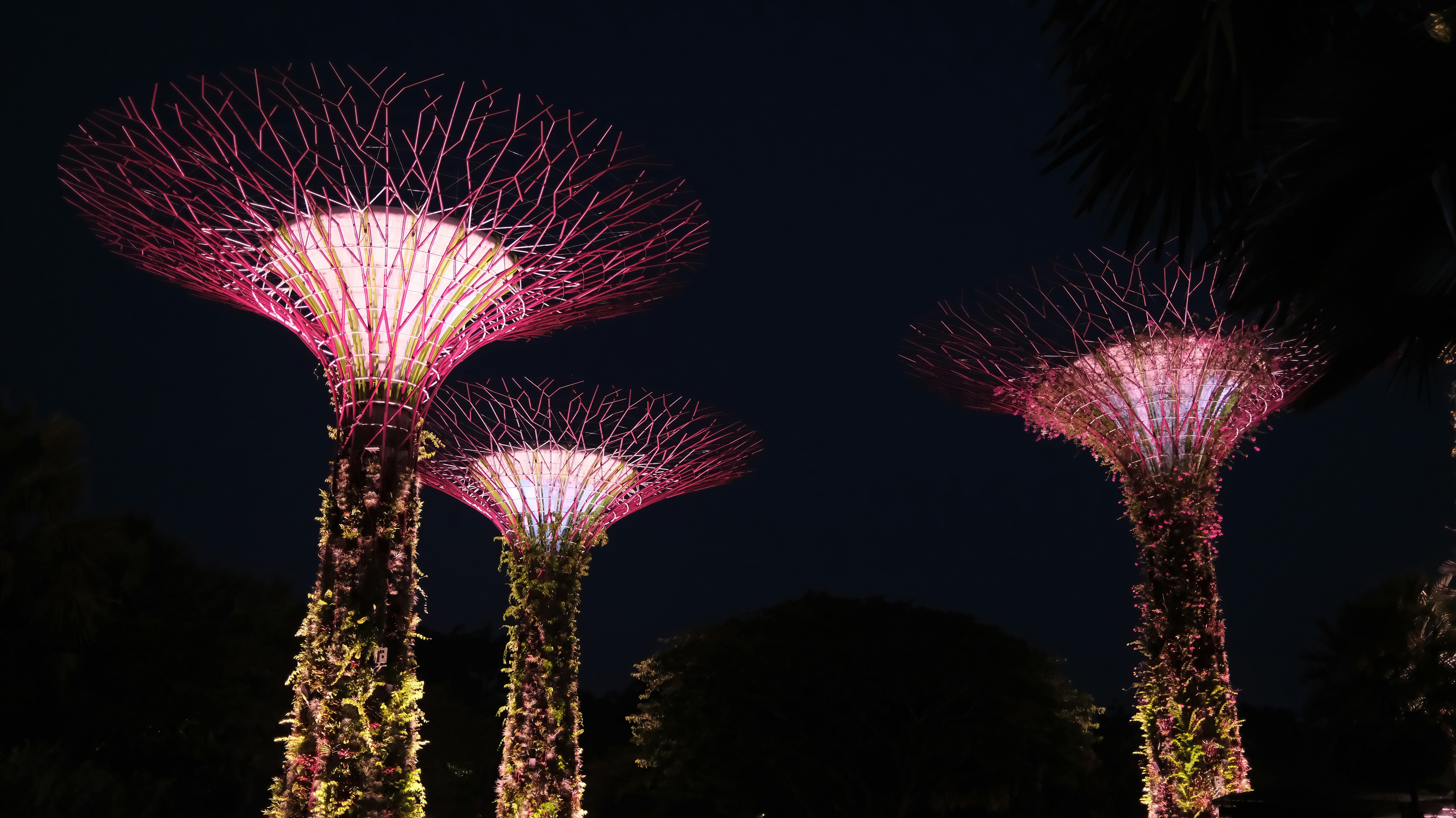 Neon Trees at Night: Luminous Silhouettes of Urban Flora