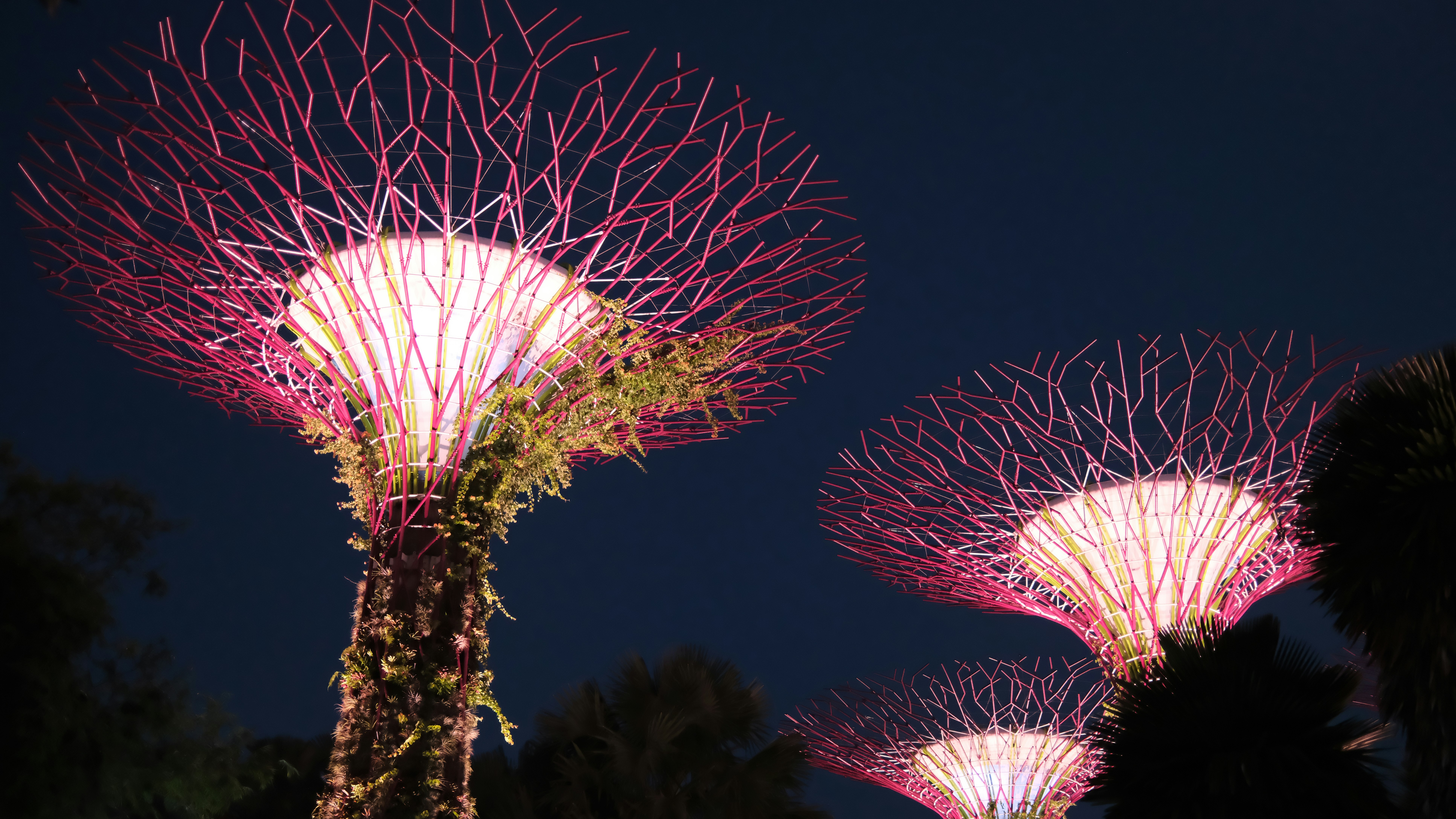 Glowing Arboreal Orbs: Night Bloom in the Sky