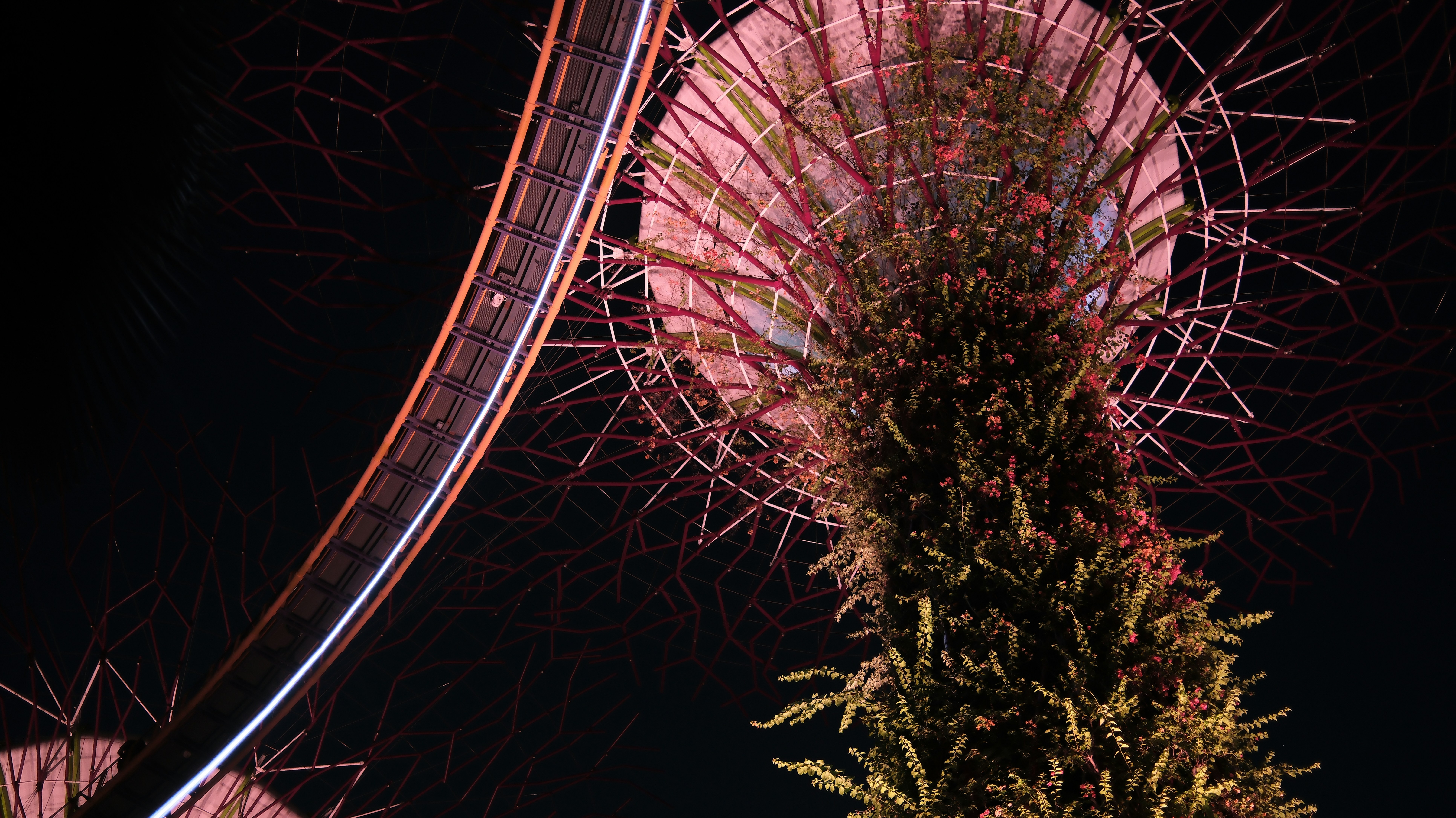 Night Urban Canopy: A Ferris Ring Encircling a Tree Crown