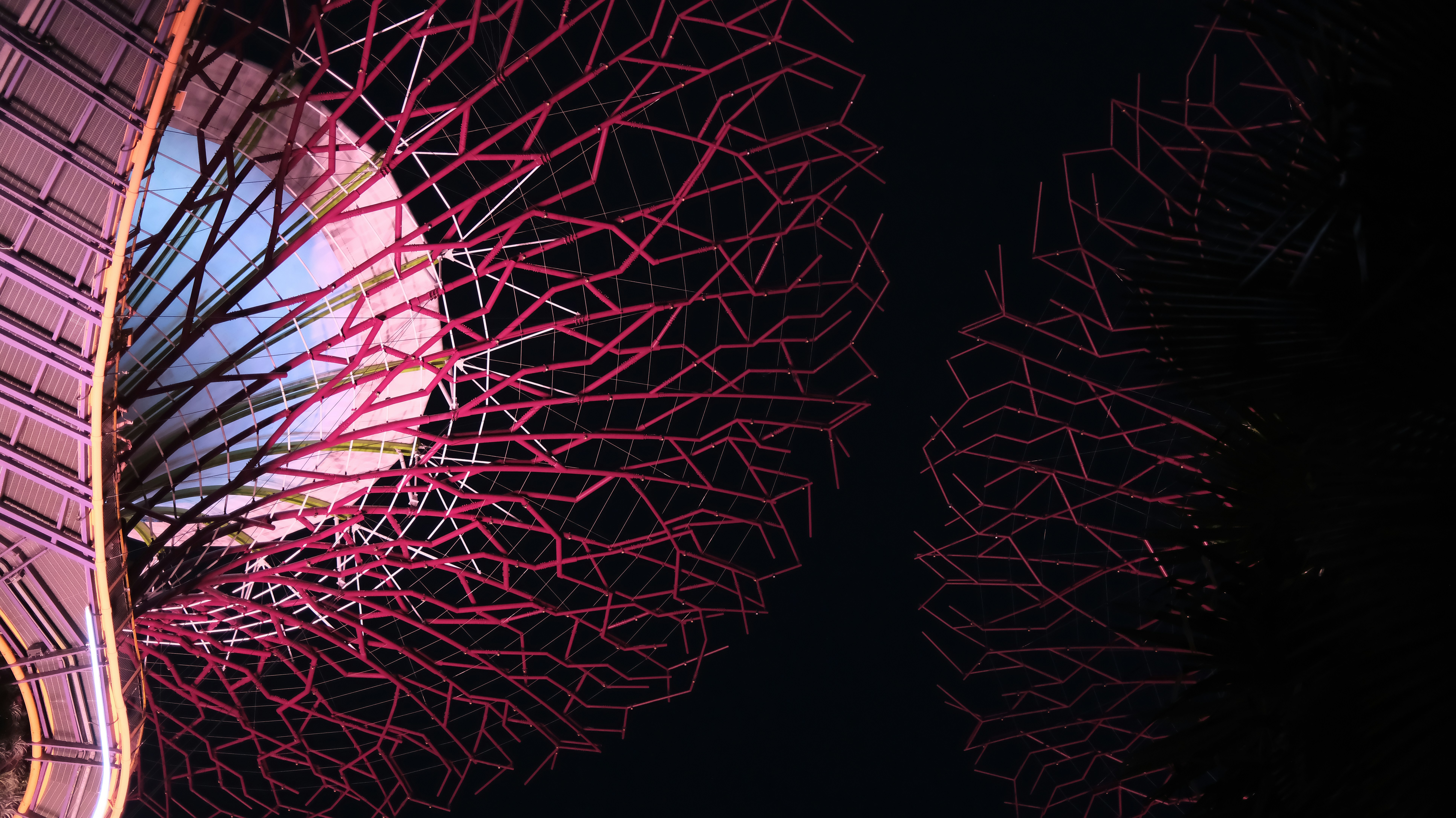 Neon Webscape: a night scene of illuminated lattice spheres