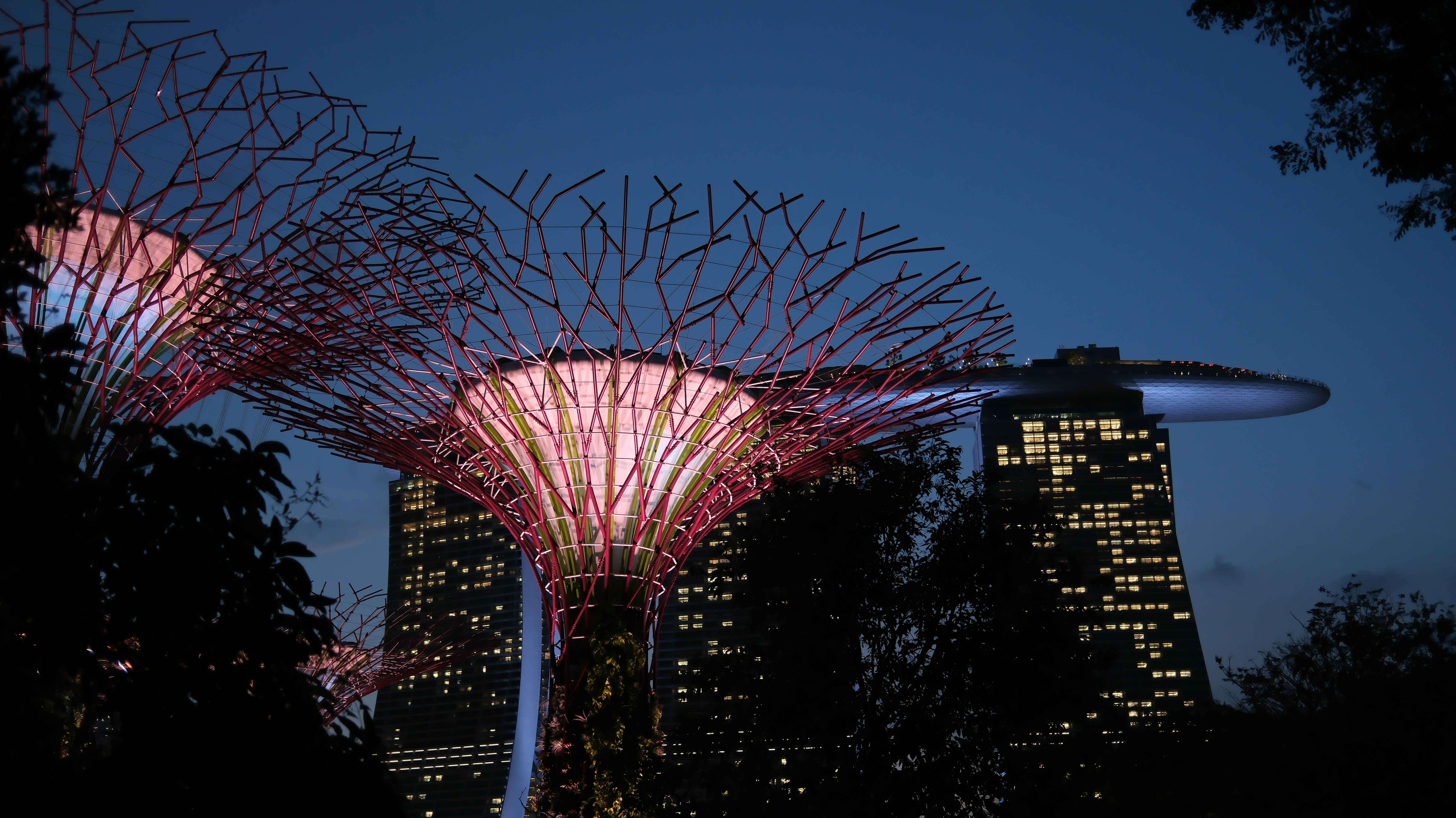 Illuminated Supertrees Against a City Night Sky