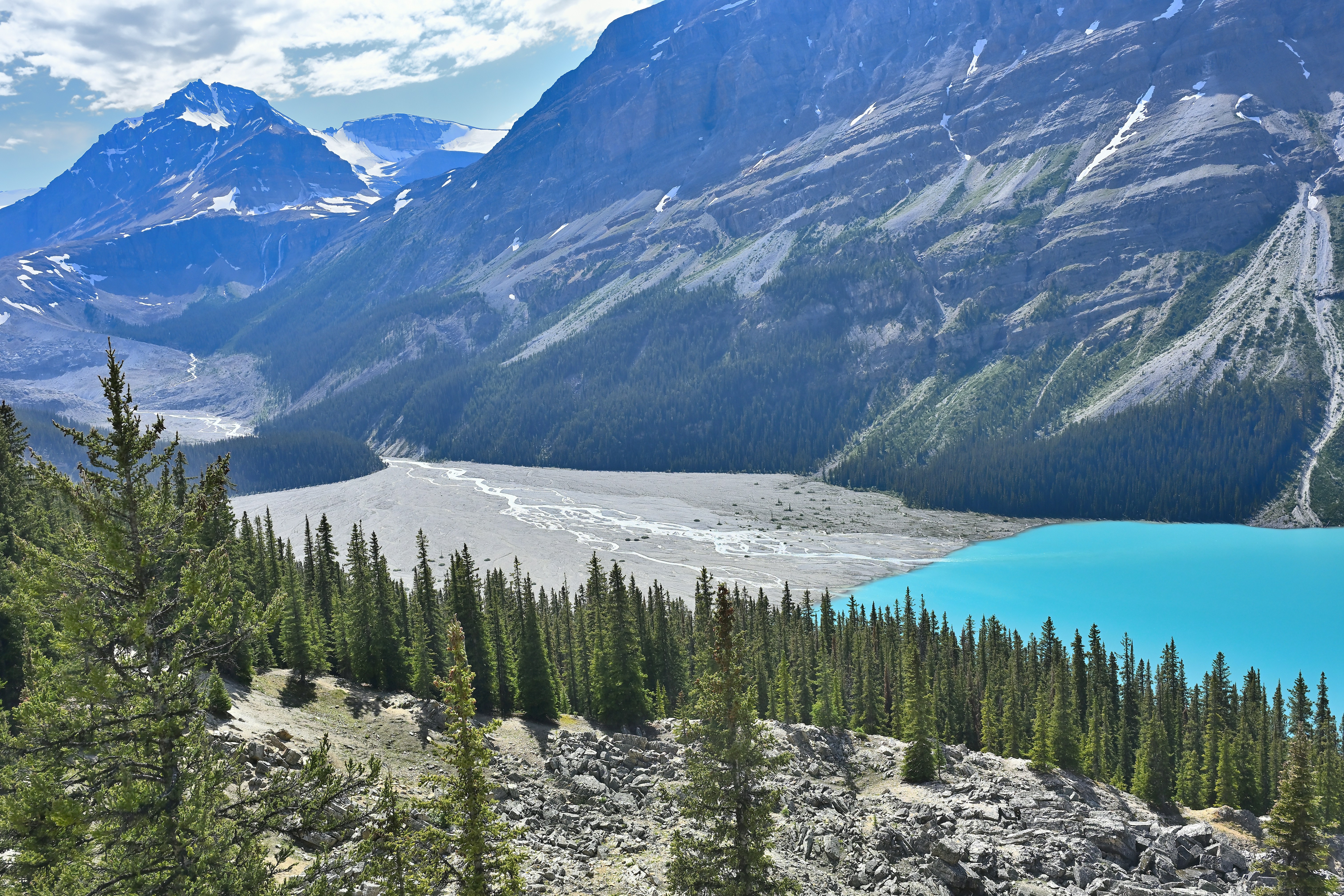 Emerald Lake Ribboned by Pines: A Mountain Basin Portrait